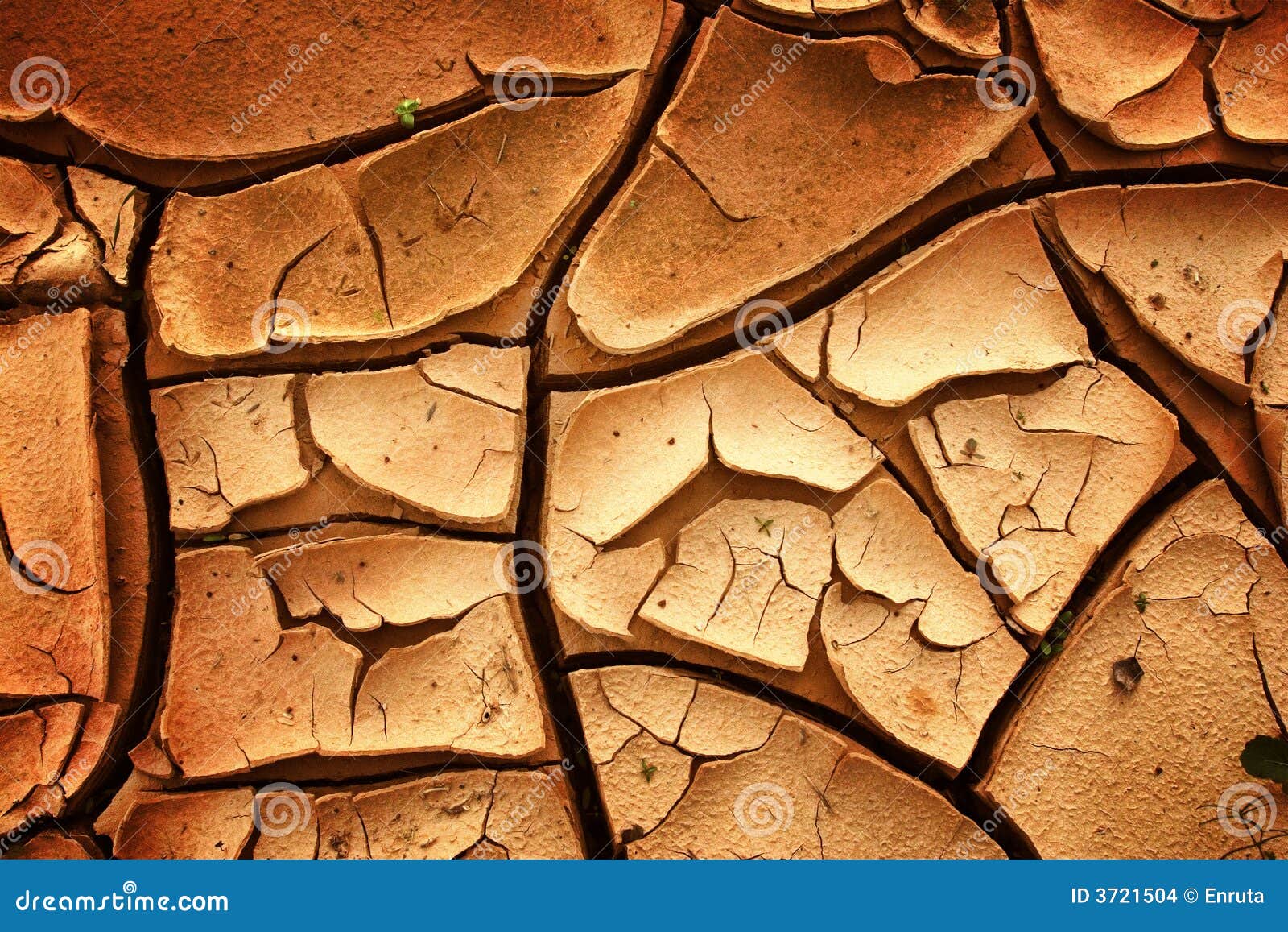 Dry soil stock photo. Image of field, drought, summer - 3721504