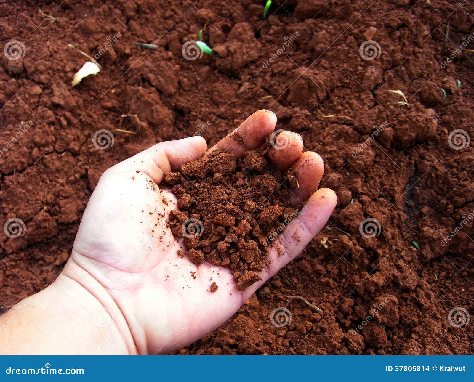 Dry soil stock photo. Image of powder, open, agriculture - 37805814