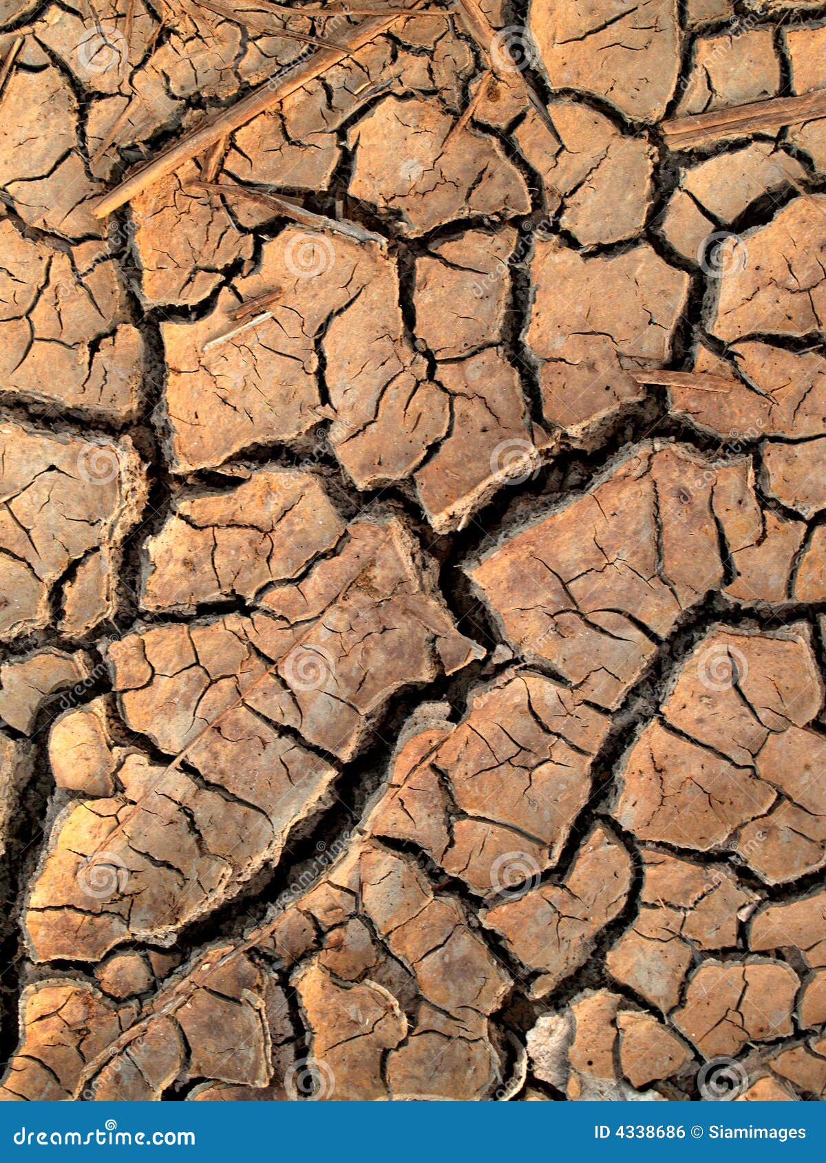 Dry soil 8 stock photo. Image of pattern, drought, surface - 4338686