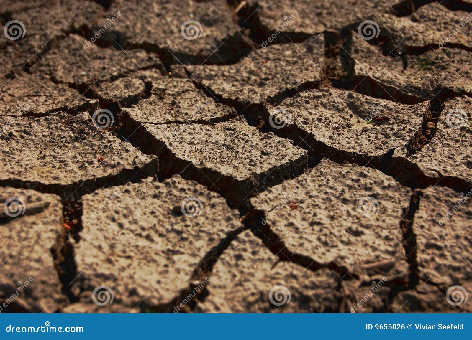Dry soil stock photo. Image of parch, heat, droughty, change - 9655026