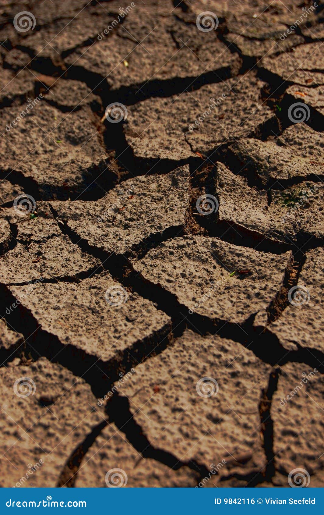 Dry soil stock photo. Image of heat, ecology, brown, environment - 9842116