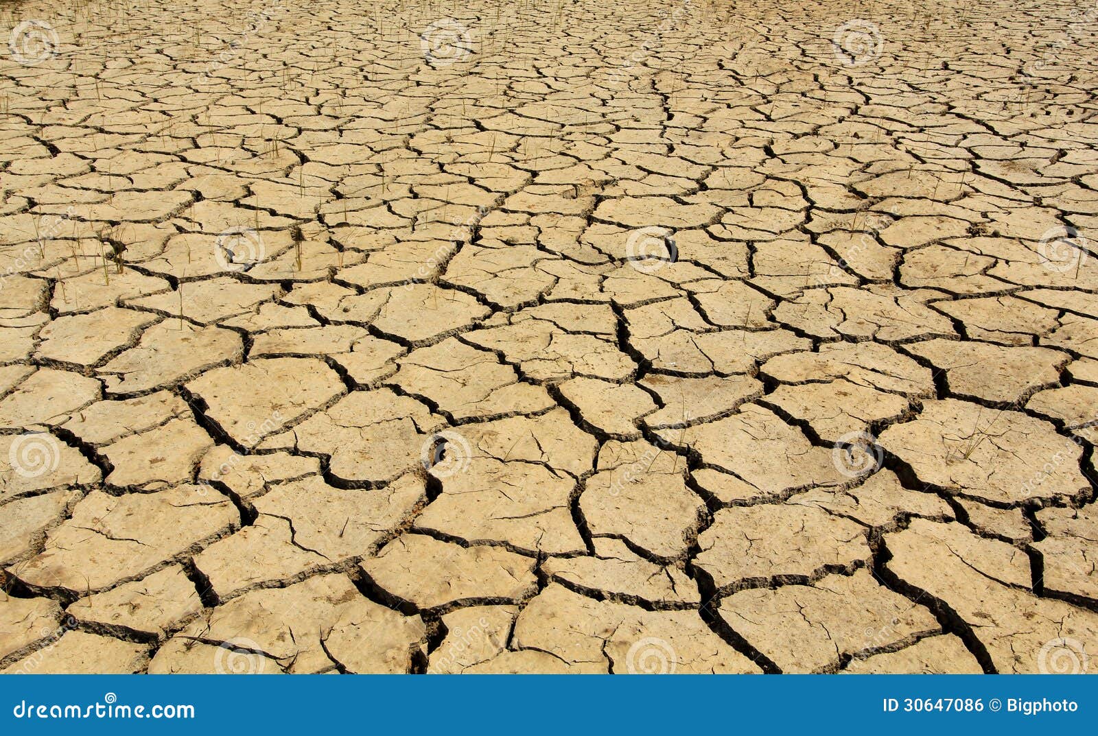 Dry soil in arid areas stock photo. Image of dryness - 30647086