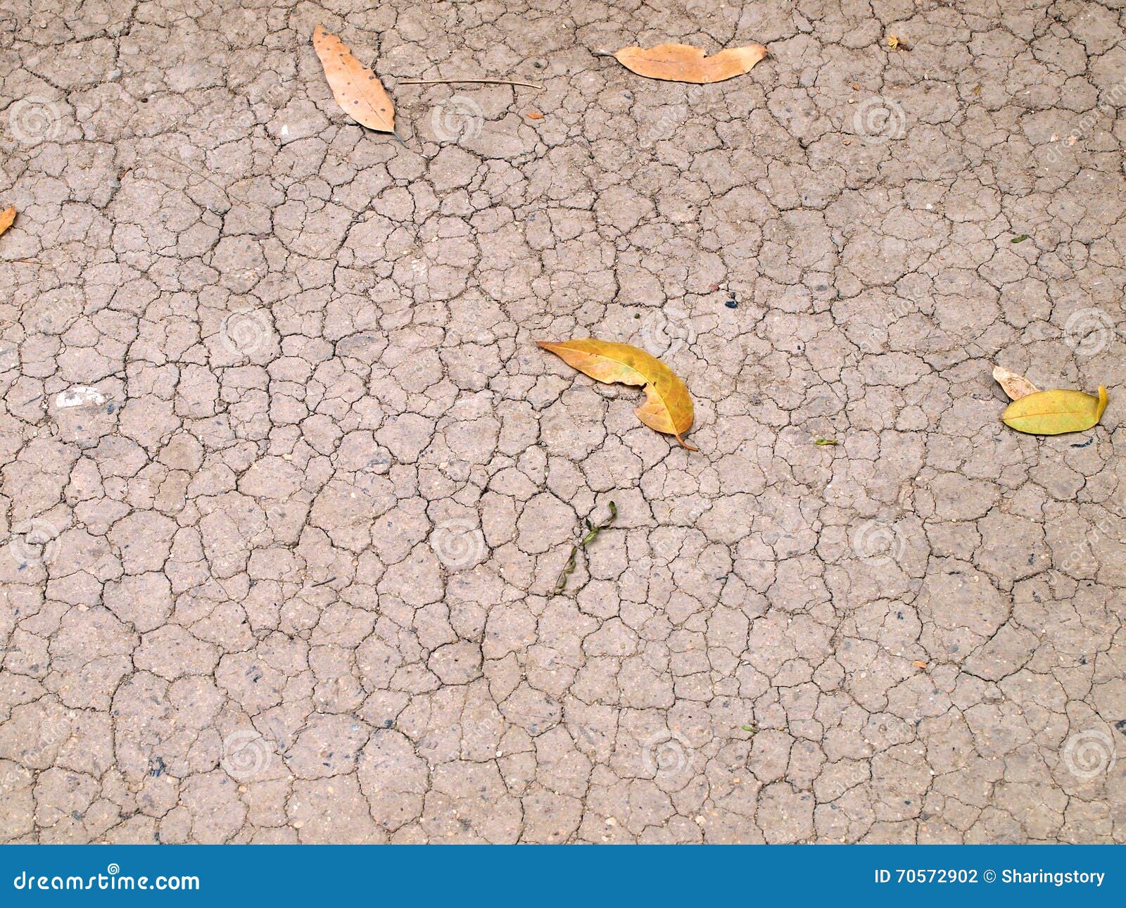 Arid Climate In African Desert Royalty-Free Stock Image | CartoonDealer ...
