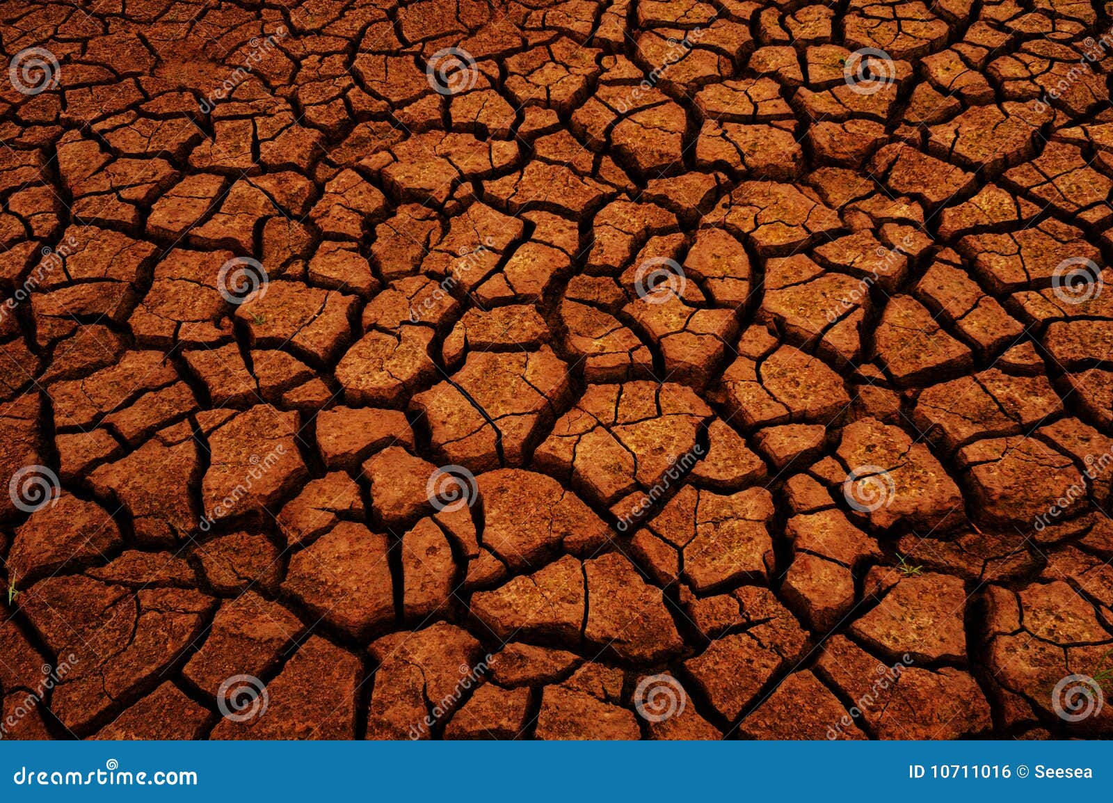 Dry Soil Background Stock Photography | CartoonDealer.com #10711016