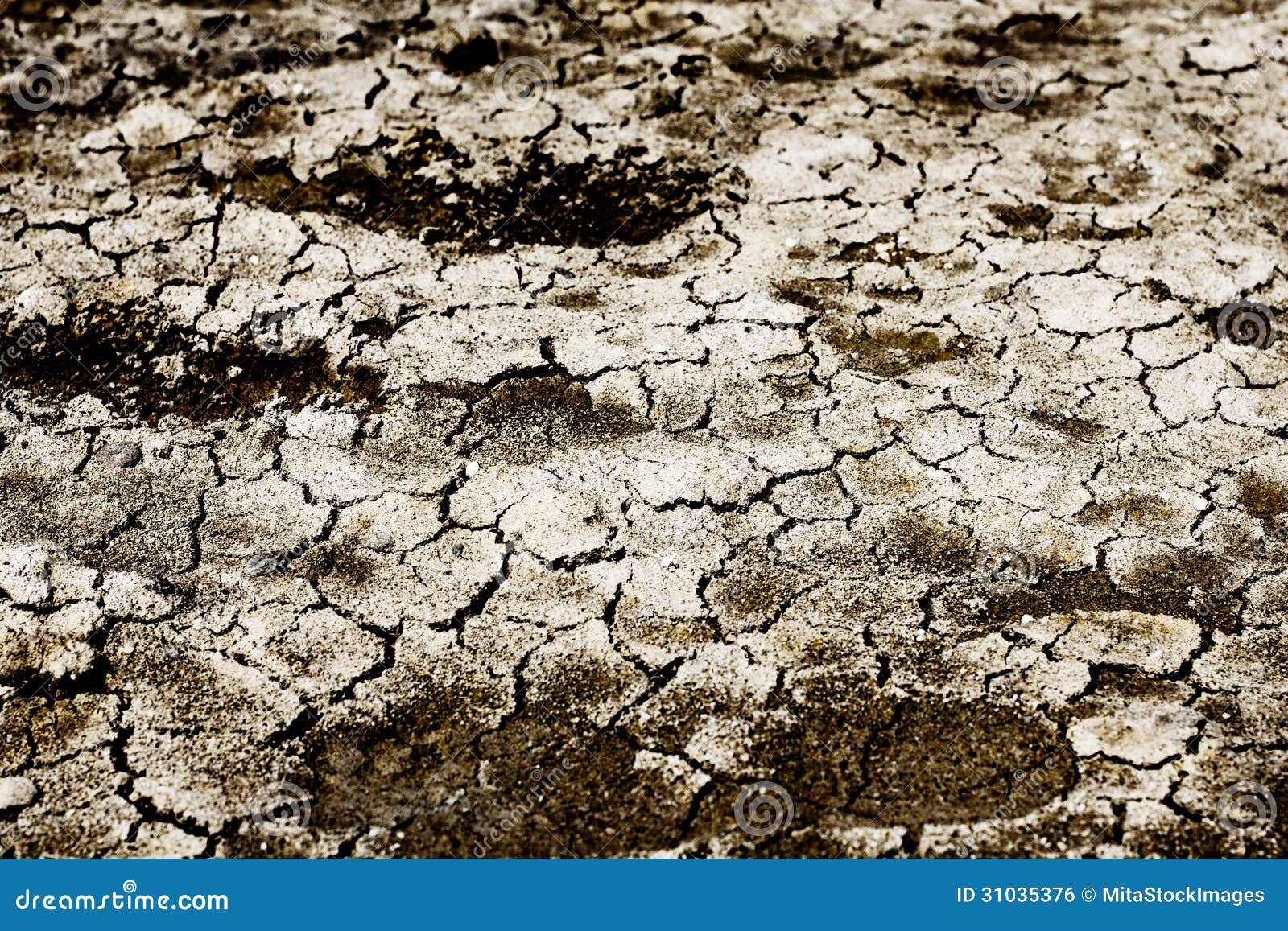 Dry Soil Background stock photo. Image of rough, heat - 31035376