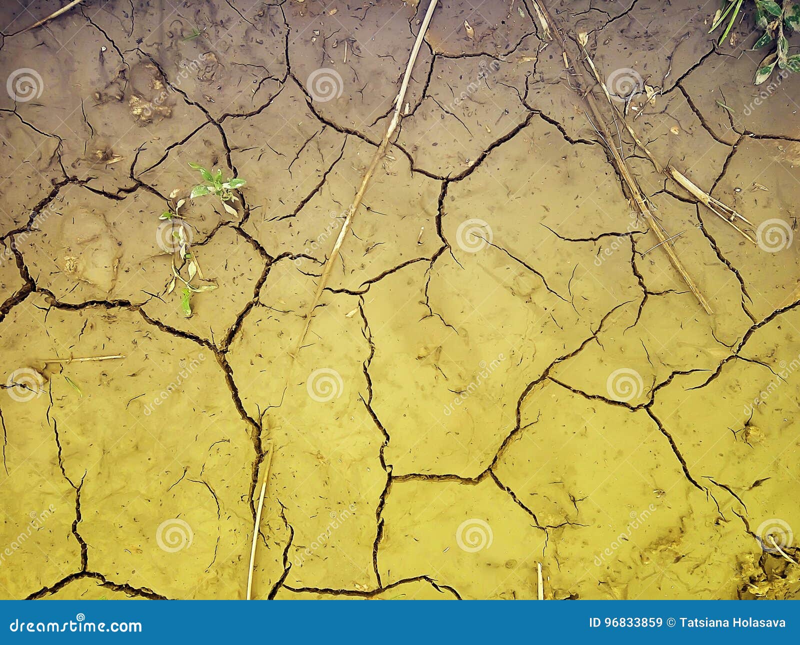 Soil Brown Dirt Road Texture Royalty-Free Stock Photo | CartoonDealer ...