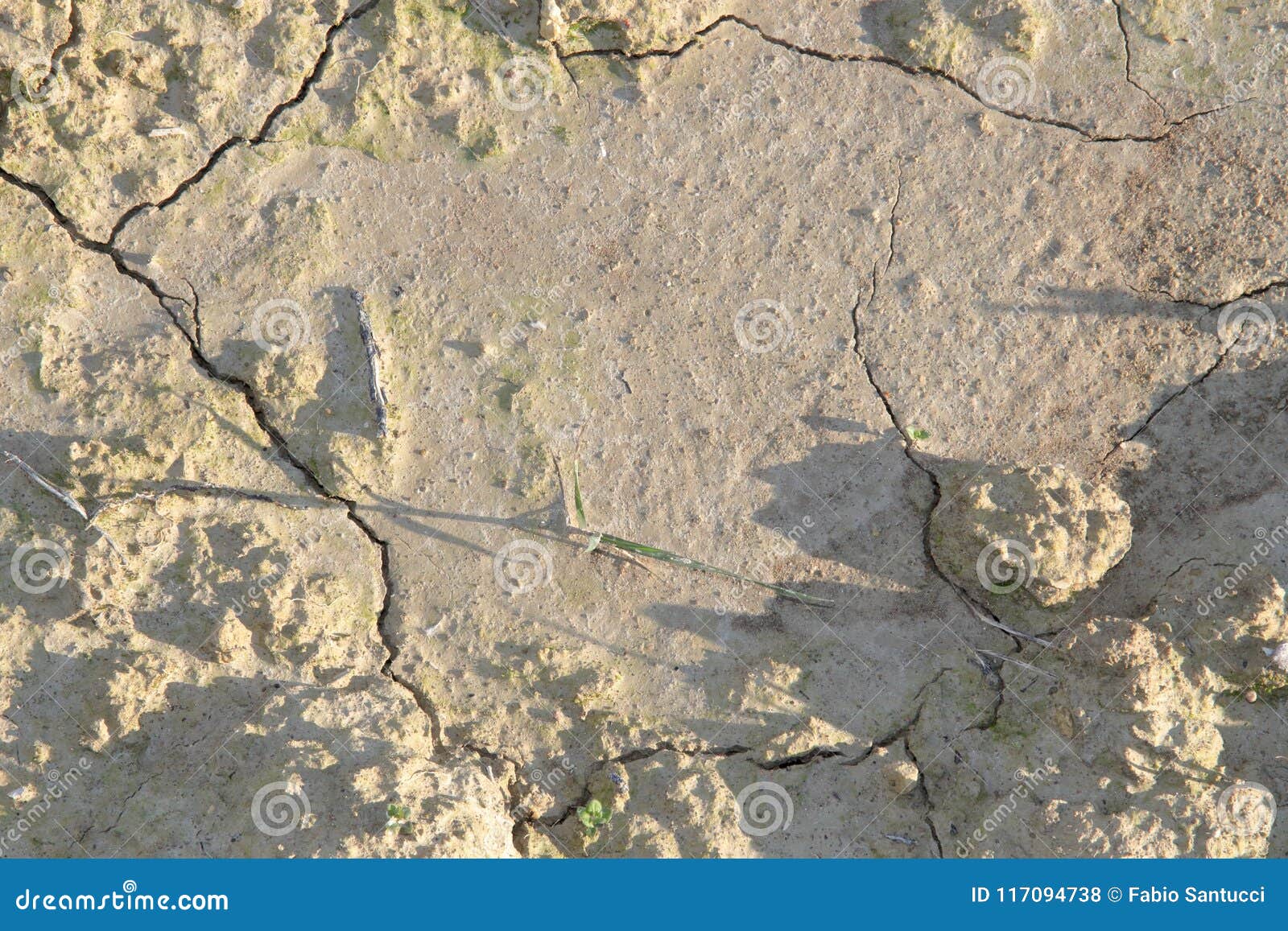 Dry soil after the rain stock photo. Image of corn, field - 117094738