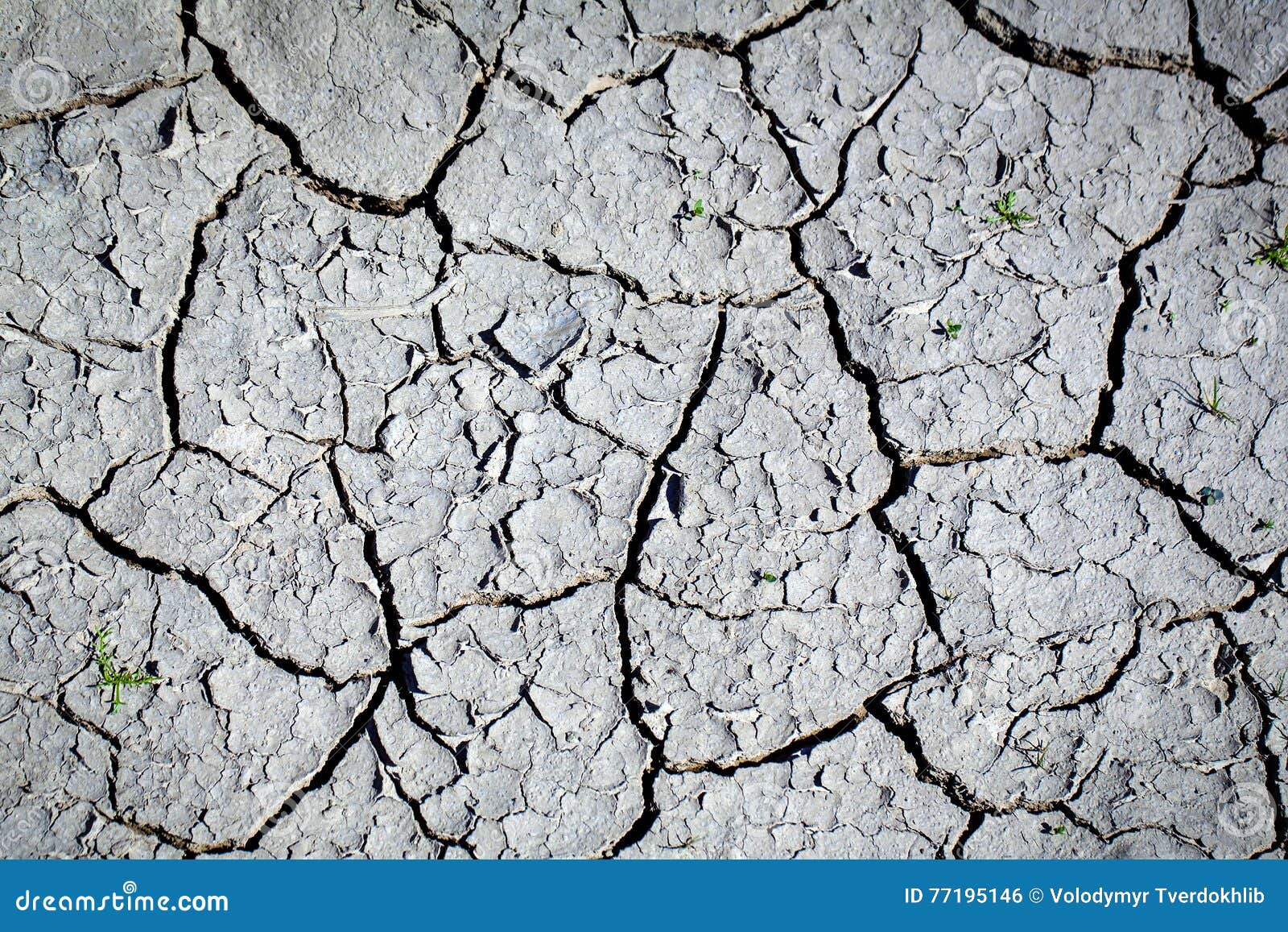 23,349 Grey Earth Photos - Free & Royalty-Free Stock Photos from Dreamstime