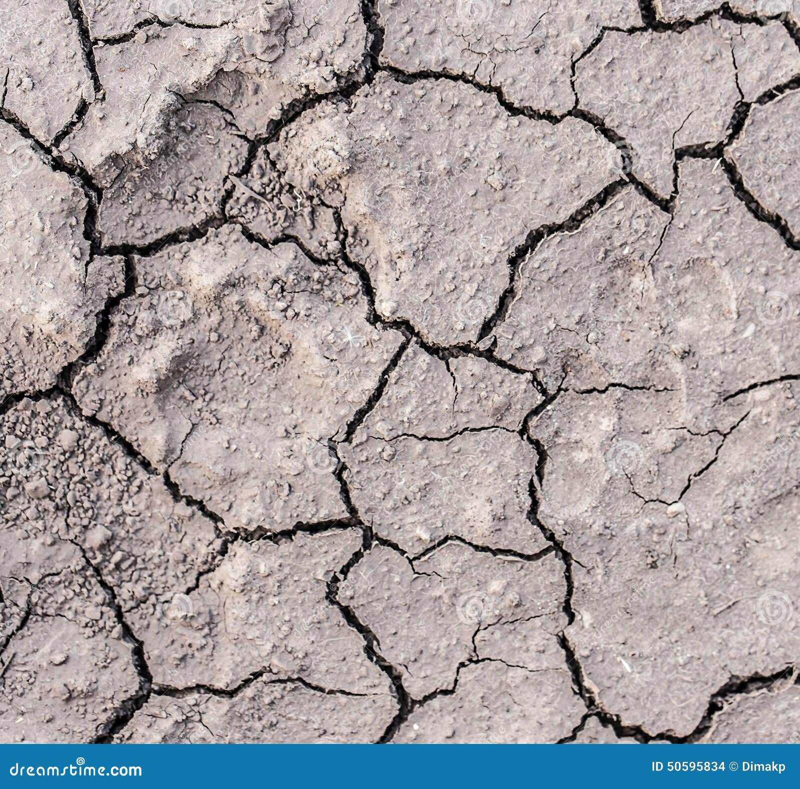Soil Cracks Texture White Background For Design. Stock Photography ...