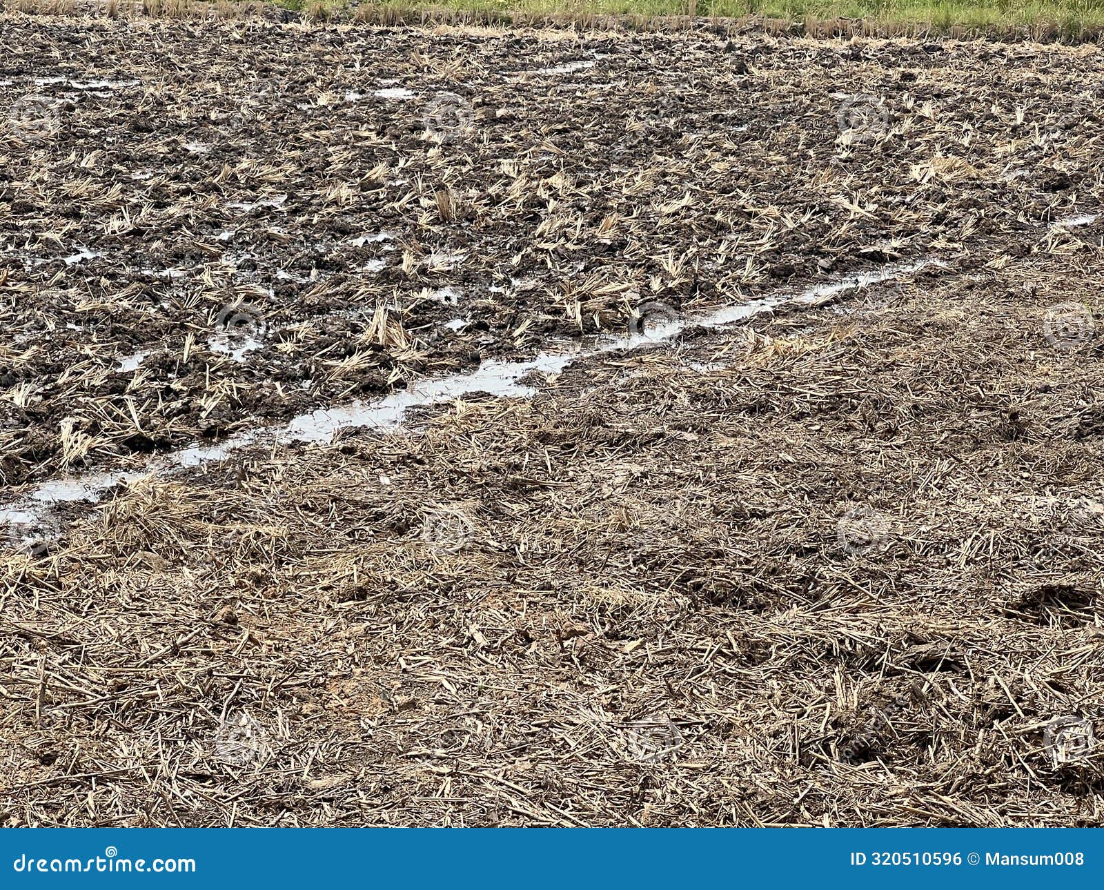 Dry Soil in Field after the Rain Stock Photo - Image of natural, field ...