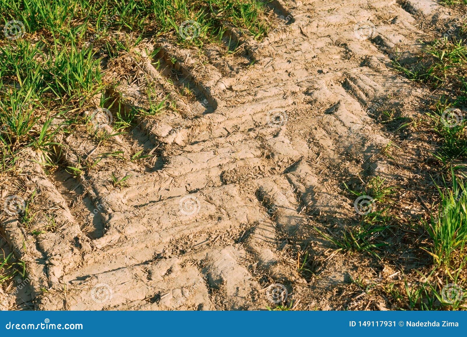 Dry Soil in the Field, the Trace of the Tractor Stock Image - Image of ...