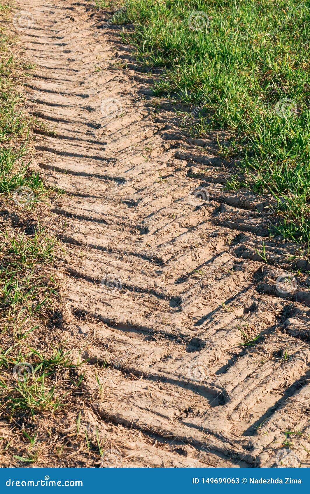 Dry Soil in the Field, the Trace of the Tractor Stock Image - Image of ...