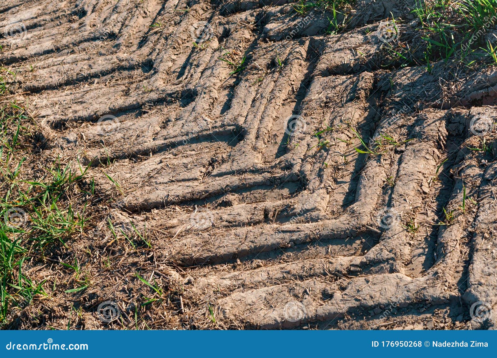 The Trace Of The Tractor On The Ground, A Tractor Track, Even The Tread ...