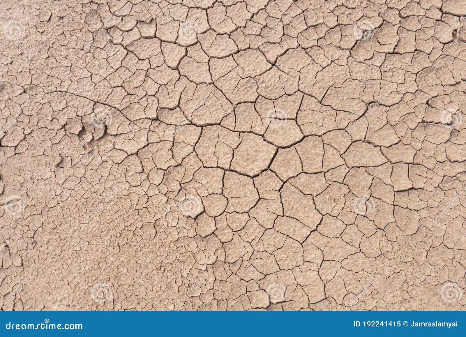 Dry Soil Ground Cracks Background Texture in Drought Stock Image ...