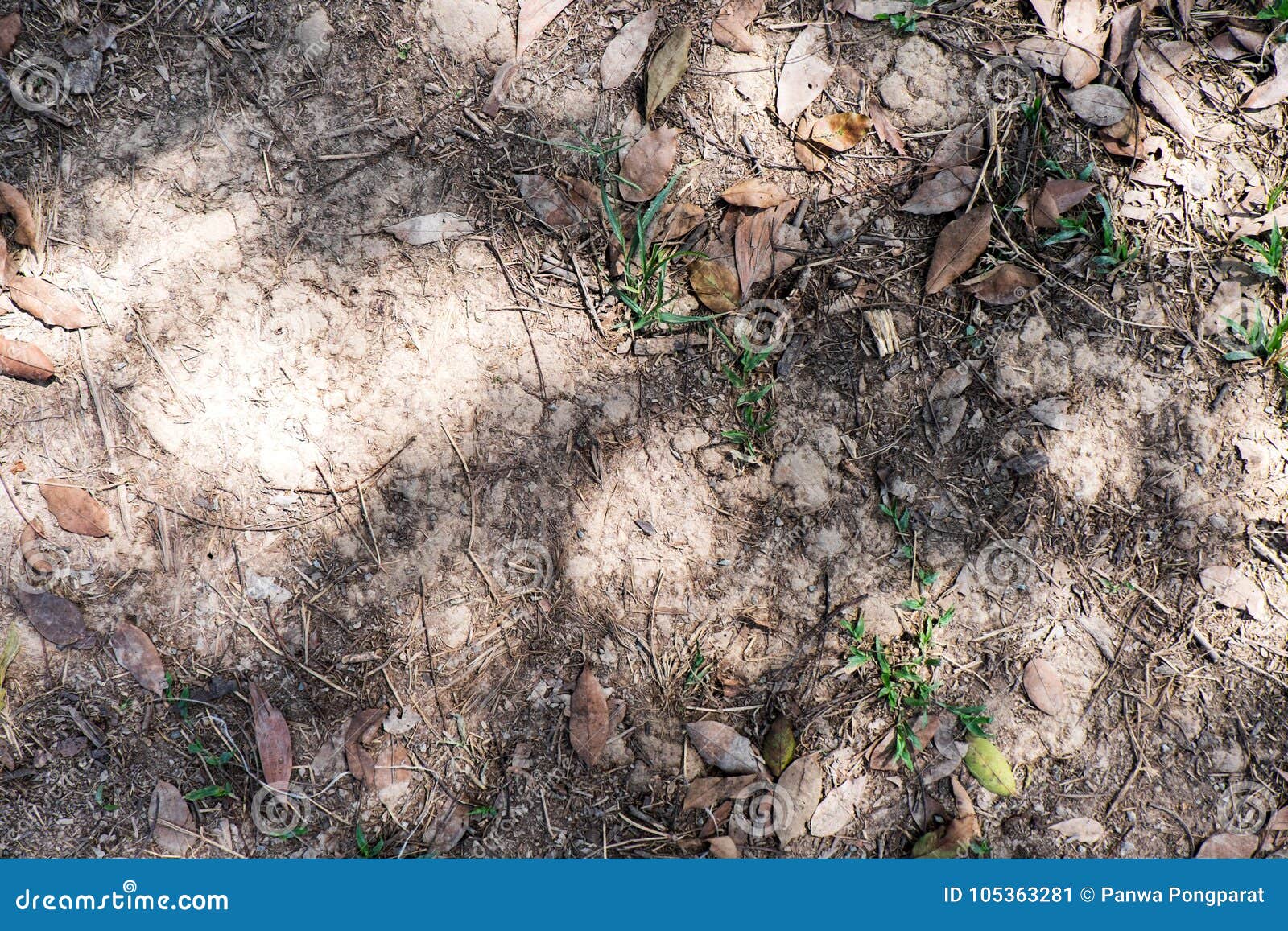 Soil Texture Background Royalty-Free Stock Photography | CartoonDealer ...