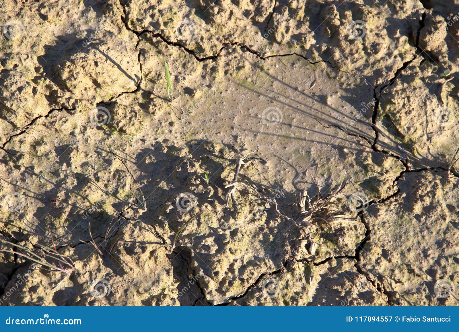 Dry soil after the rain stock image. Image of texture - 117094557