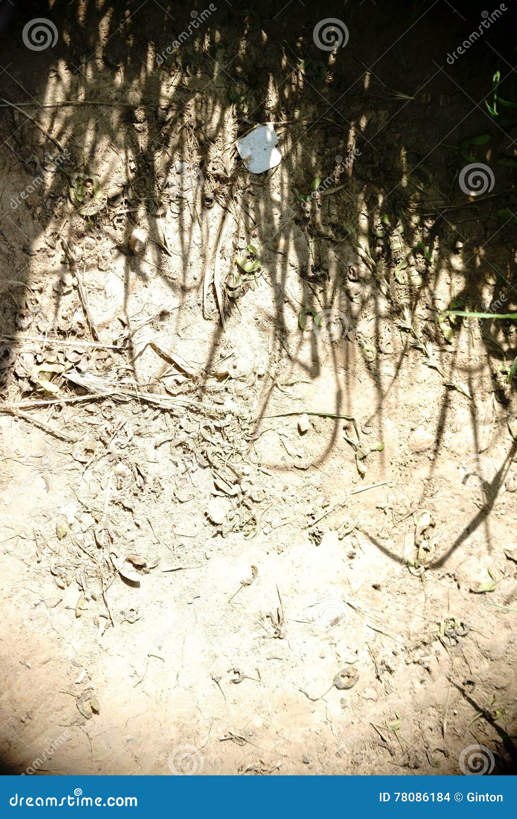Dry soil with shadow stock photo. Image of dryness, earth - 78086184