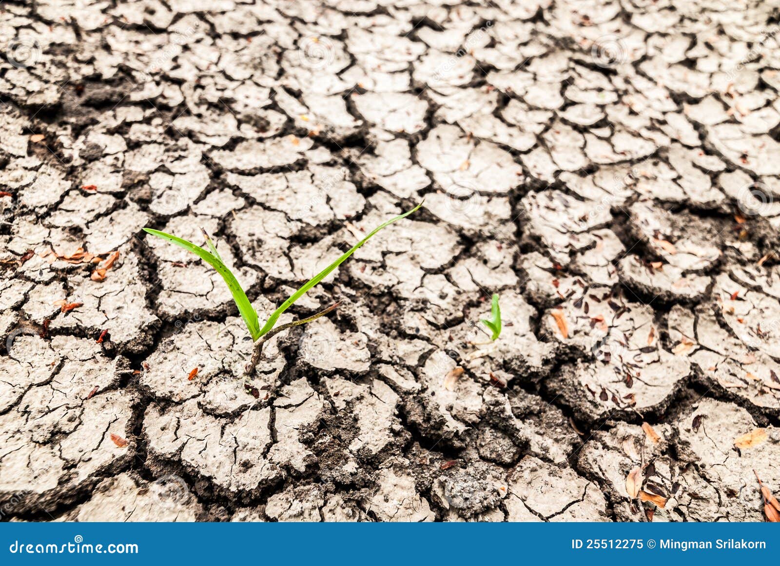 Dry soil surface. stock image. Image of field, environment - 25512275