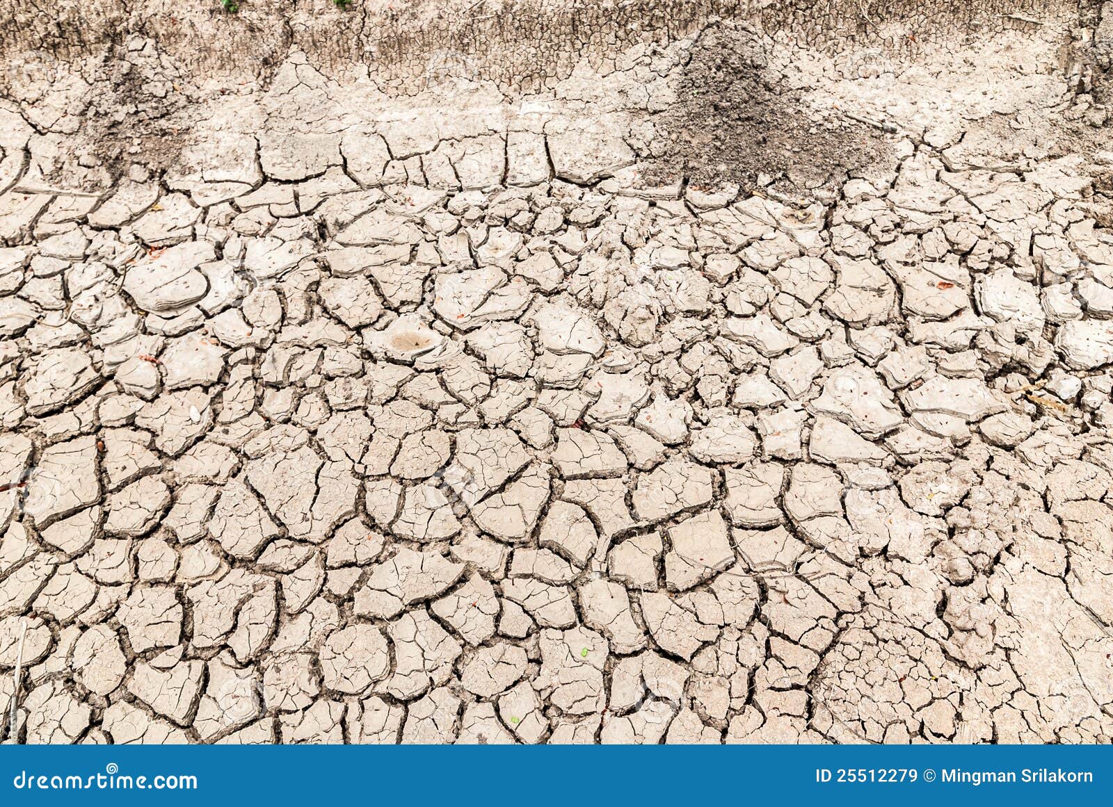 Dry soil surface. stock image. Image of horizon, geology - 25512279