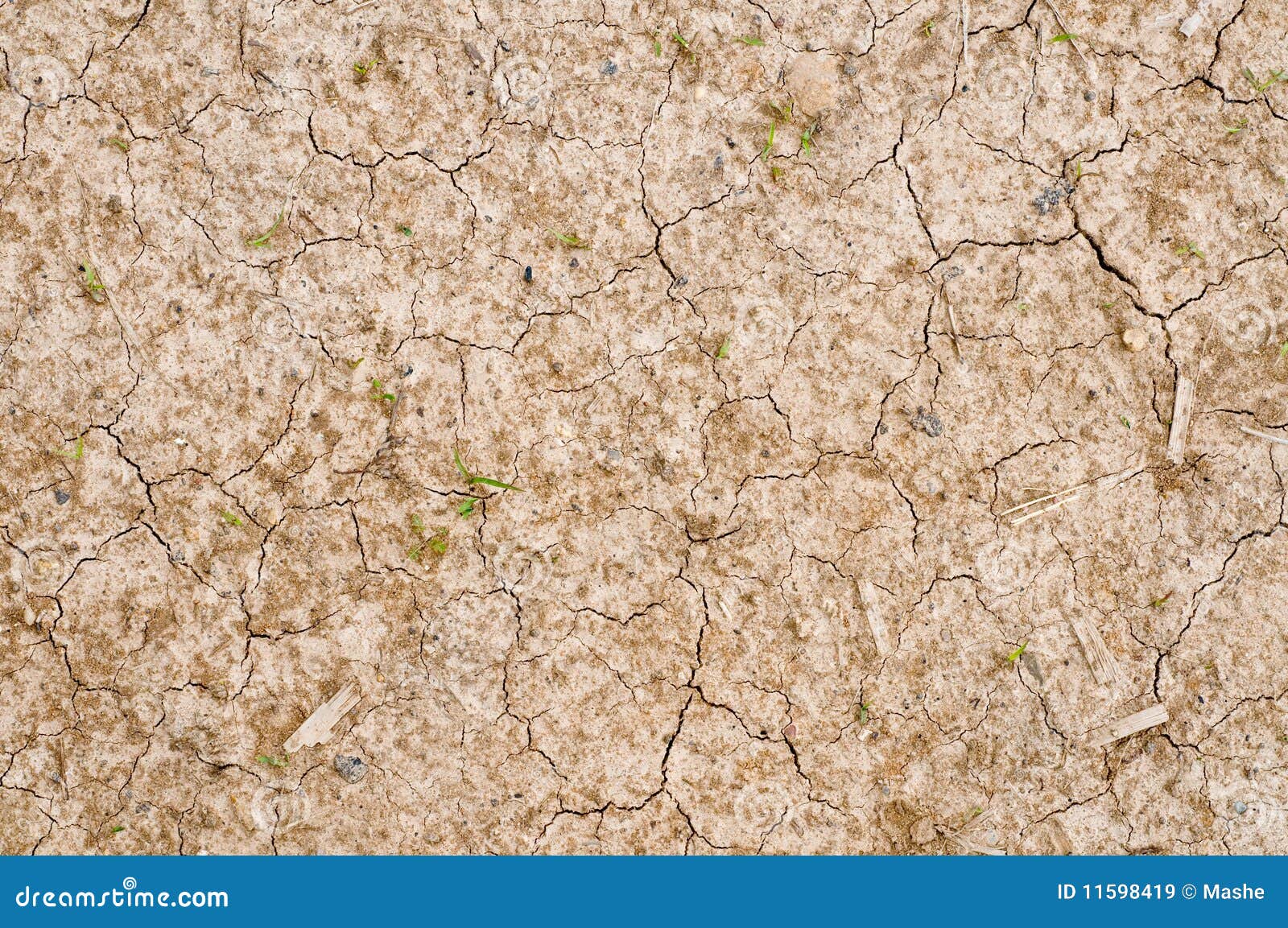 Dry soil texture stock image. Image of summer, disaster - 11598419