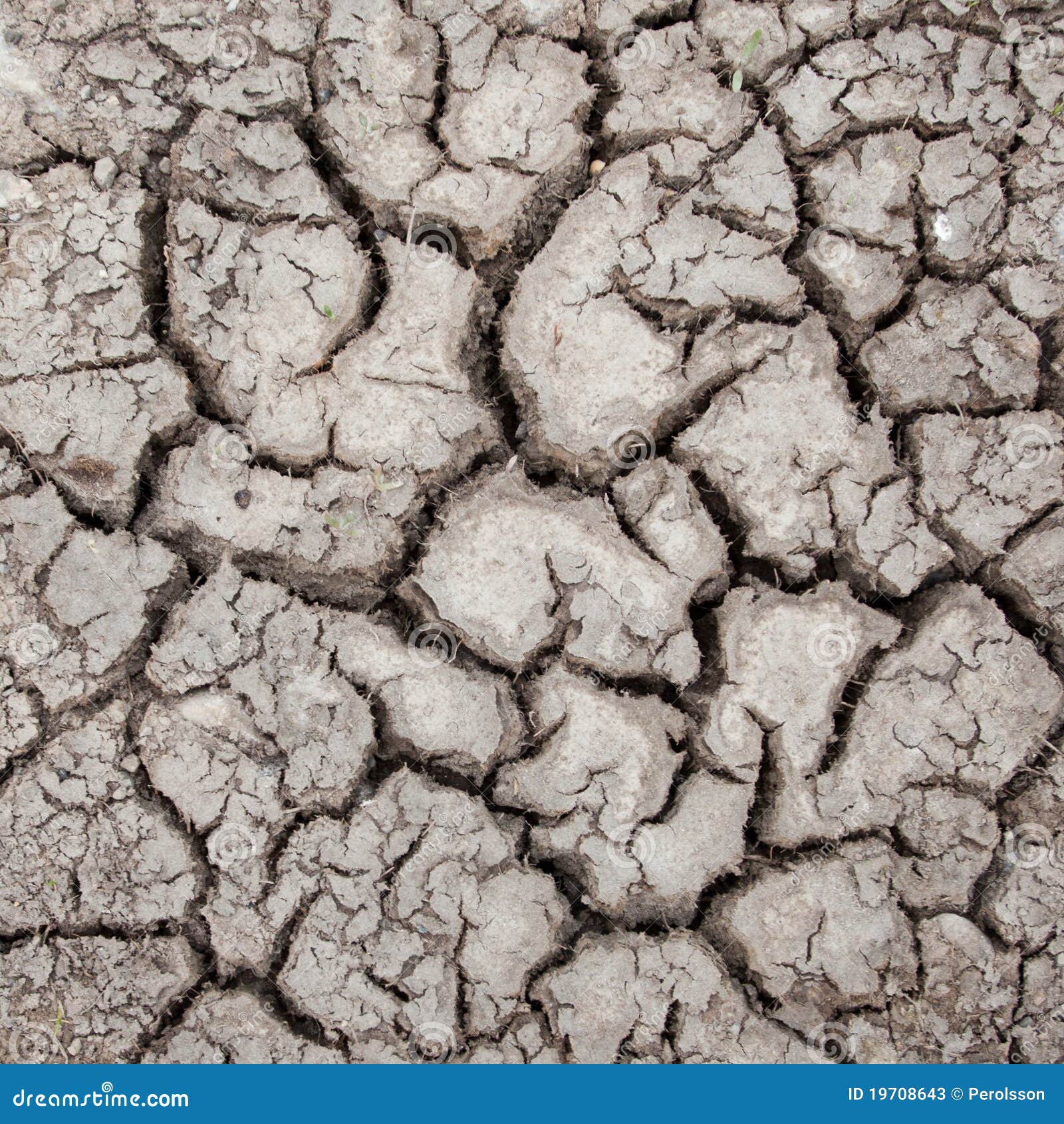 Soil - Texture Sand, Silt, Clay Composition. Fertile Loam Soil Suitable ...