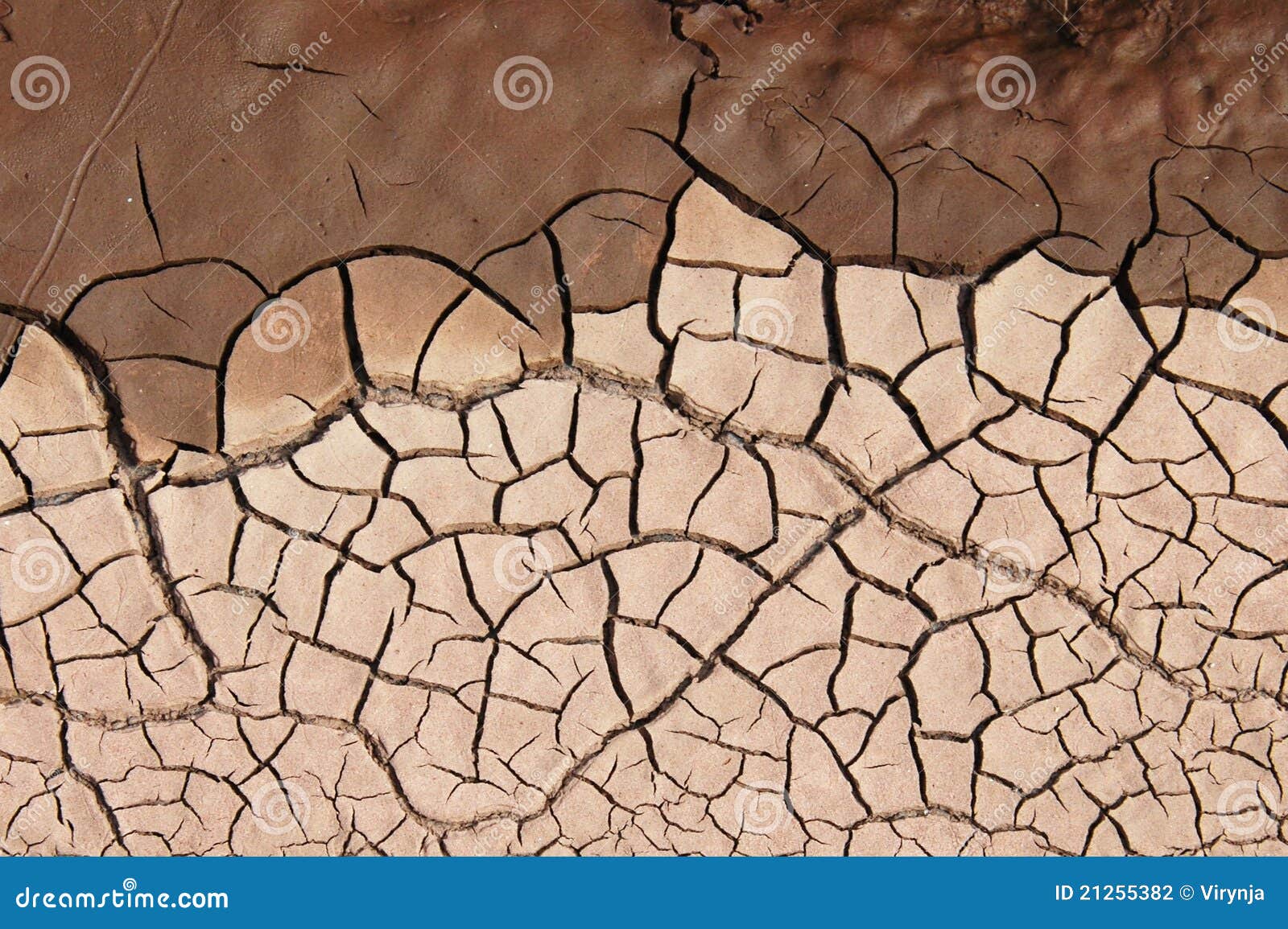 Dry soil texture stock photo. Image of drought, closeup - 21255382