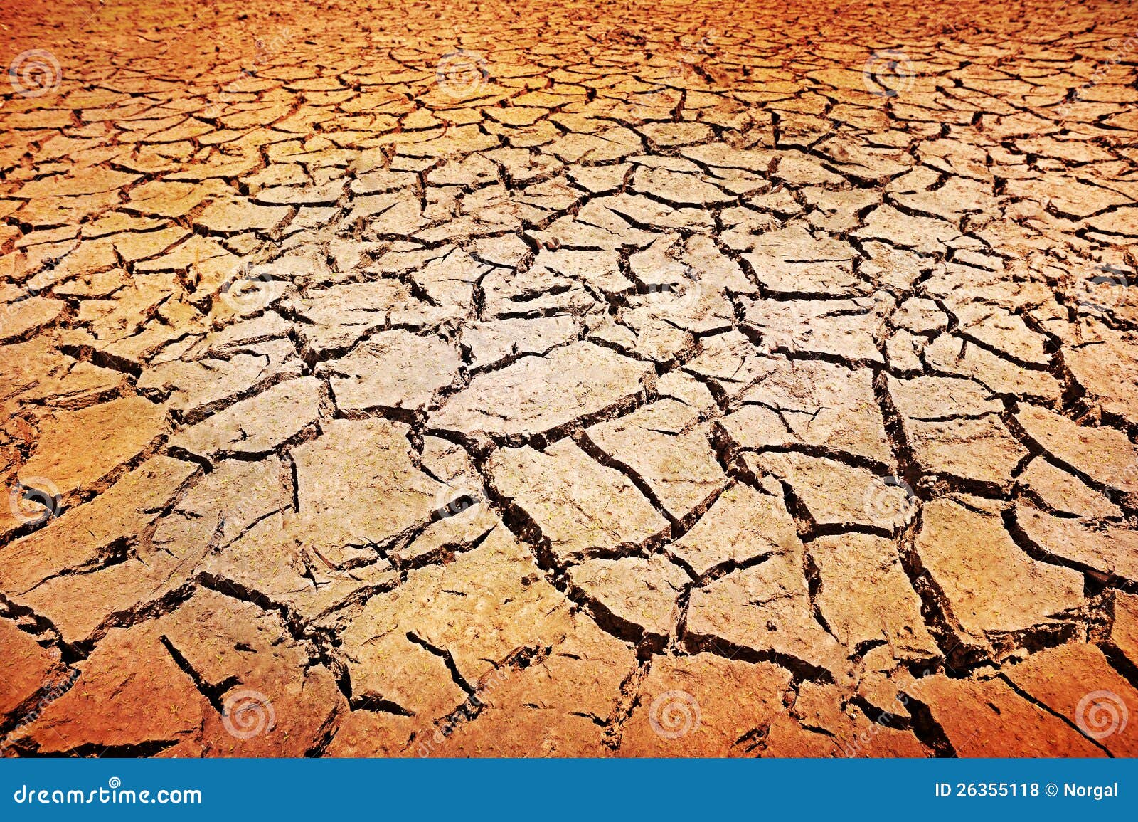 Dry soil texture stock photo. Image of rough, clay, extreme - 26355118