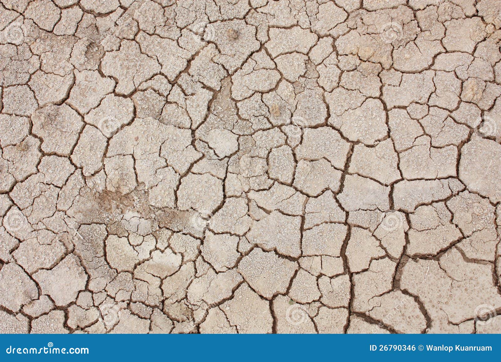 Dry soil texture stock photo. Image of drought, barren - 26790346