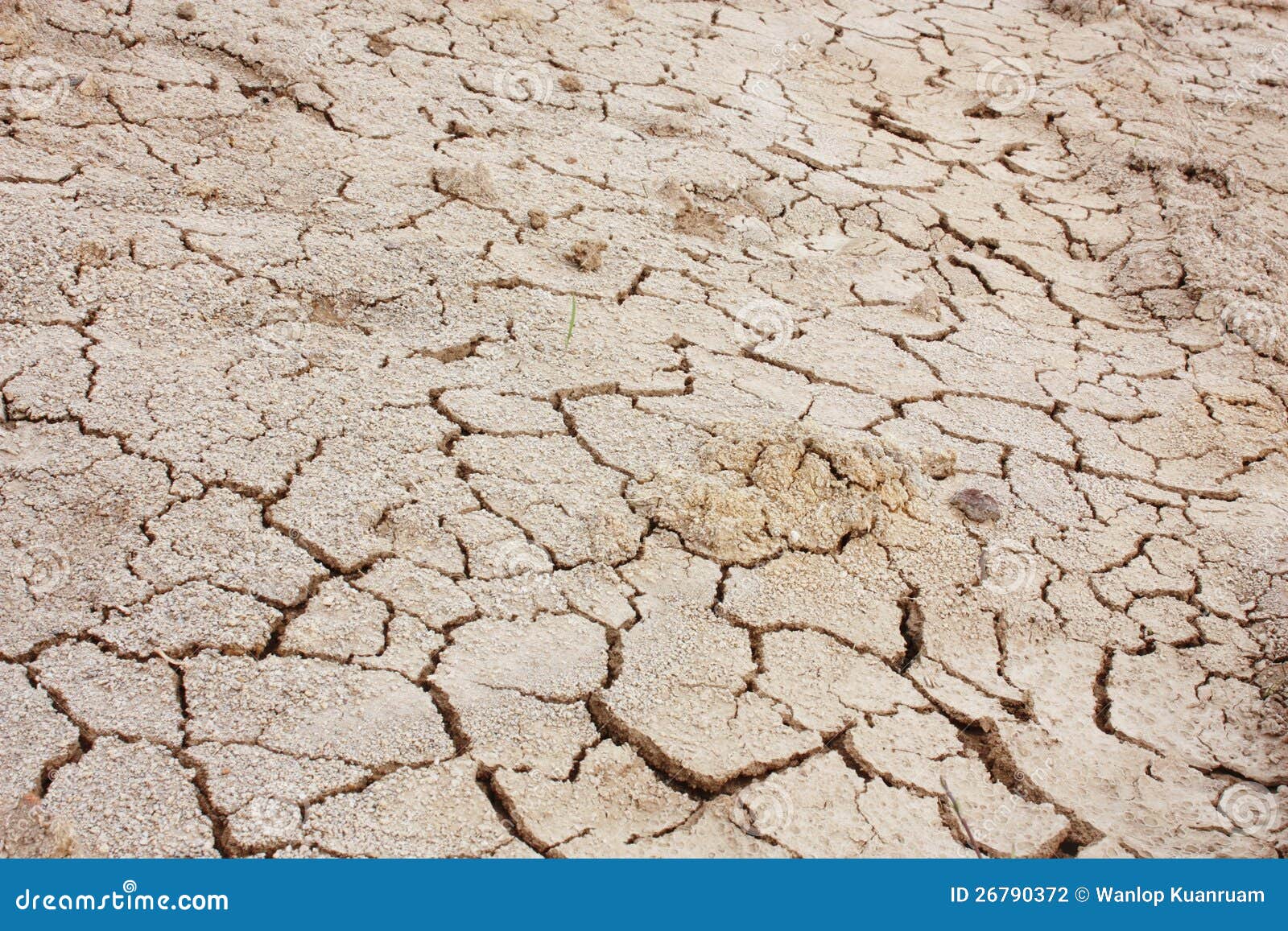 Dry soil texture stock photo. Image of heat, closeup - 26790372
