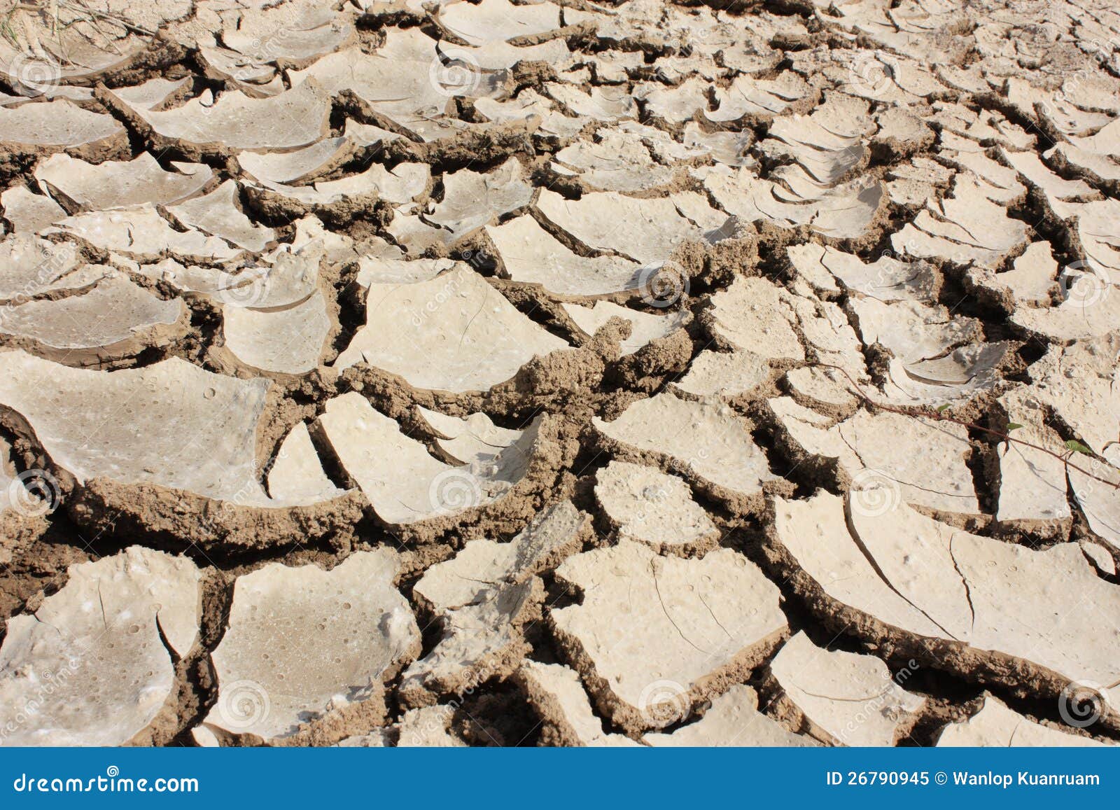 Dry soil texture stock image. Image of ground, closeup - 26790945