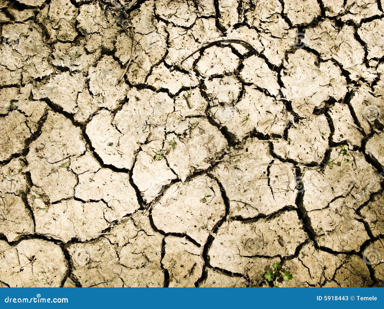 Dry Soil Texture Picture. Image: 5918443