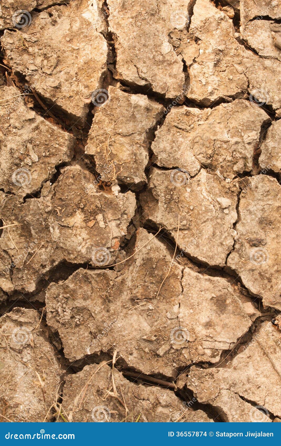 Dry Soil Texture Background Stock Photo - Image of heat, gray: 36557874