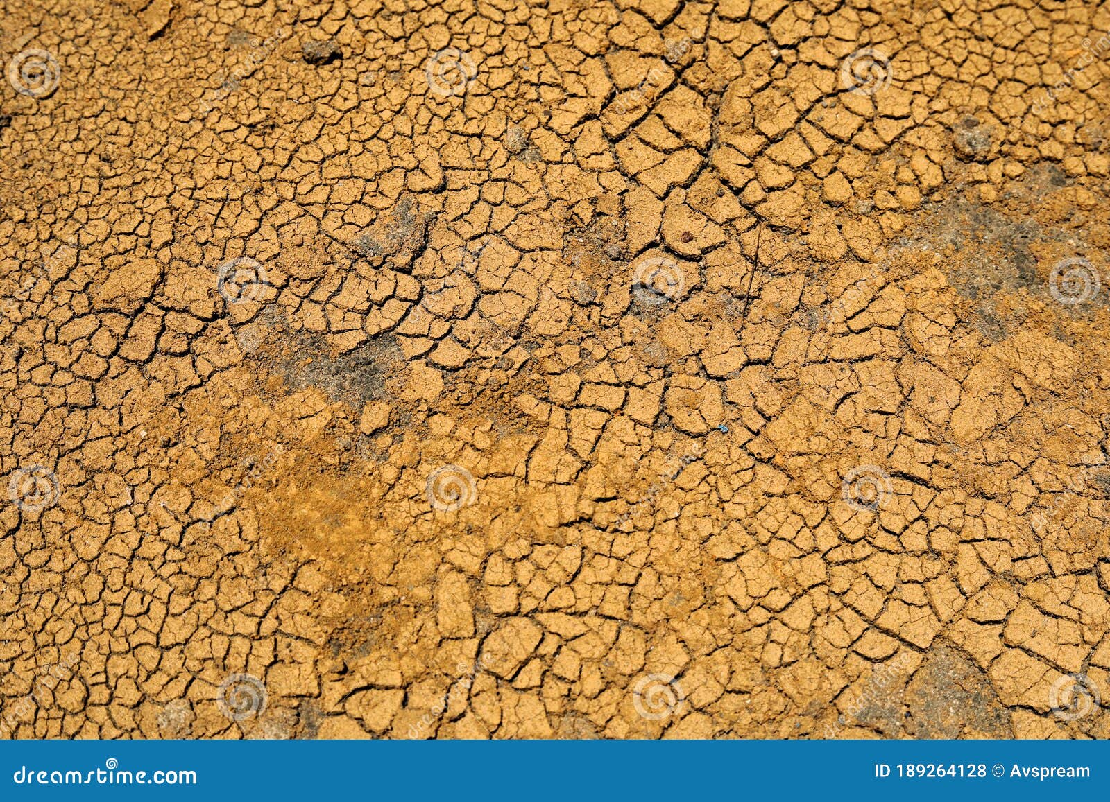 Dry Soil Texture Backgrounds - Top View Stock Photo - Image of field ...