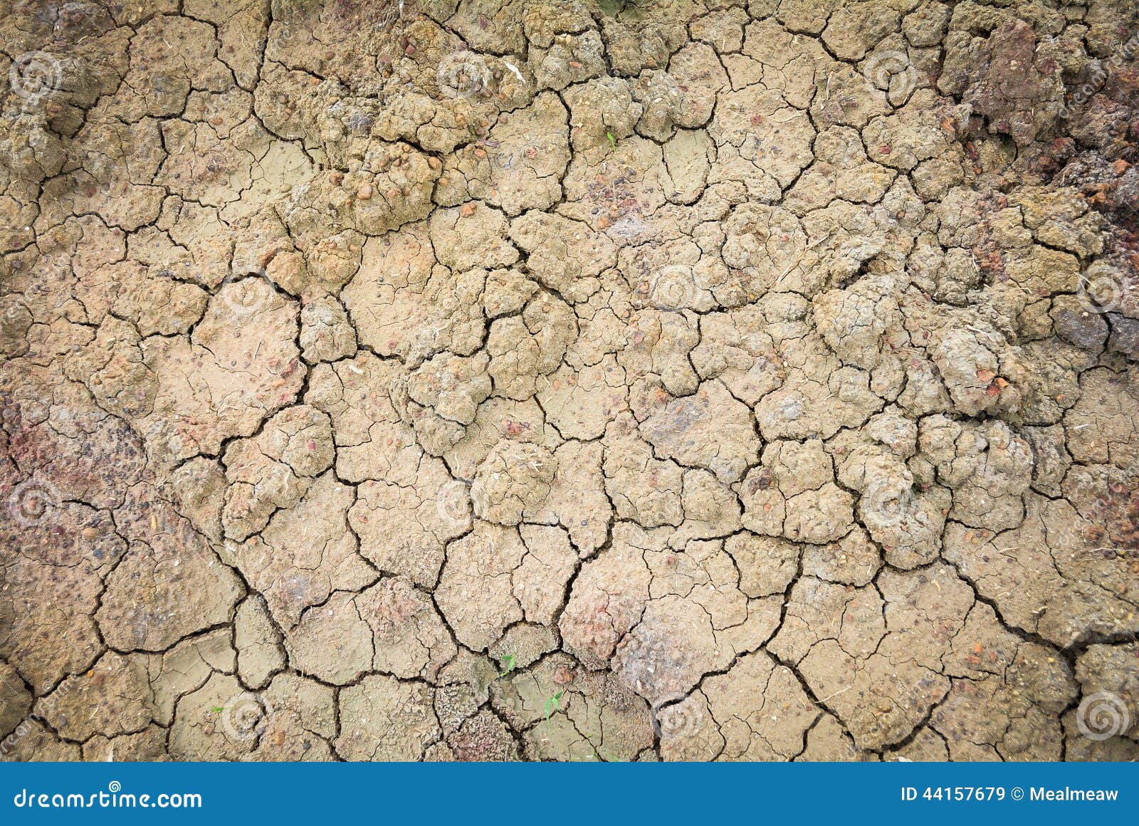 Dry soil texture stock image. Image of desert, erosion - 44157679