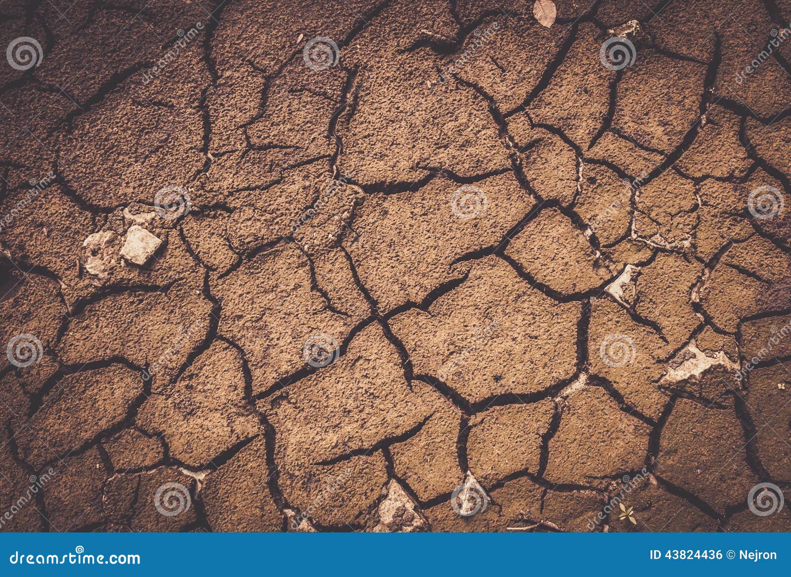 Dry soil texture stock photo. Image of grunge, sepia - 43824436