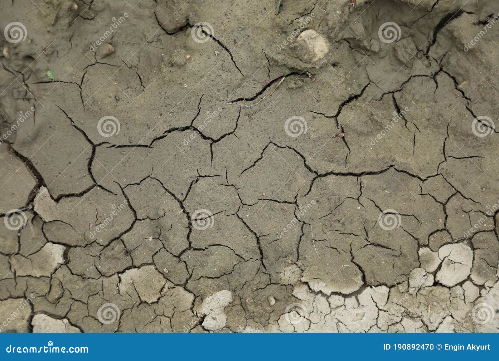 Dry soil texture stock photo. Image of brown, dried - 190892470