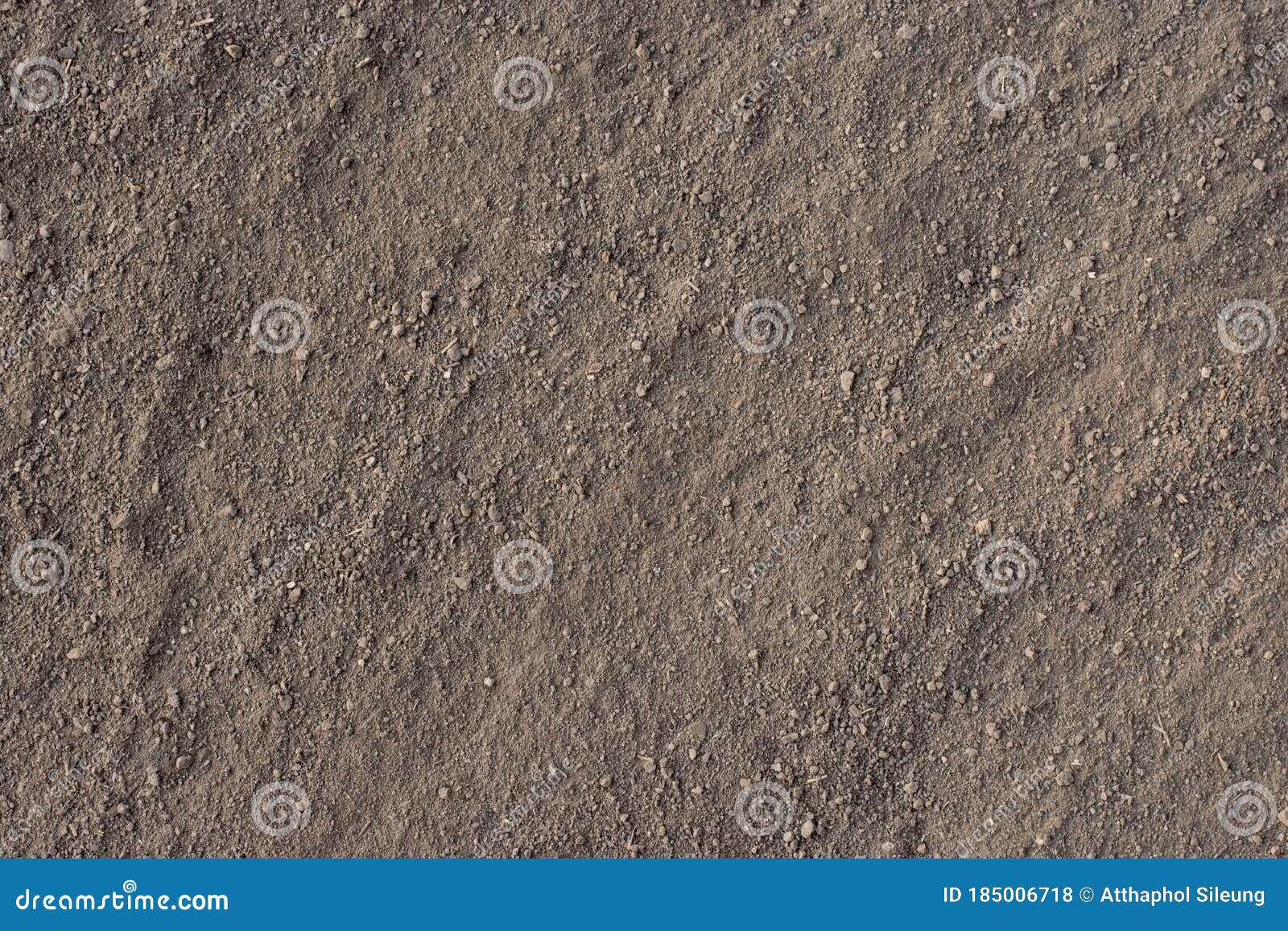 The Dry Soil Turned into Dust, Soil Texture Background Stock Photo ...