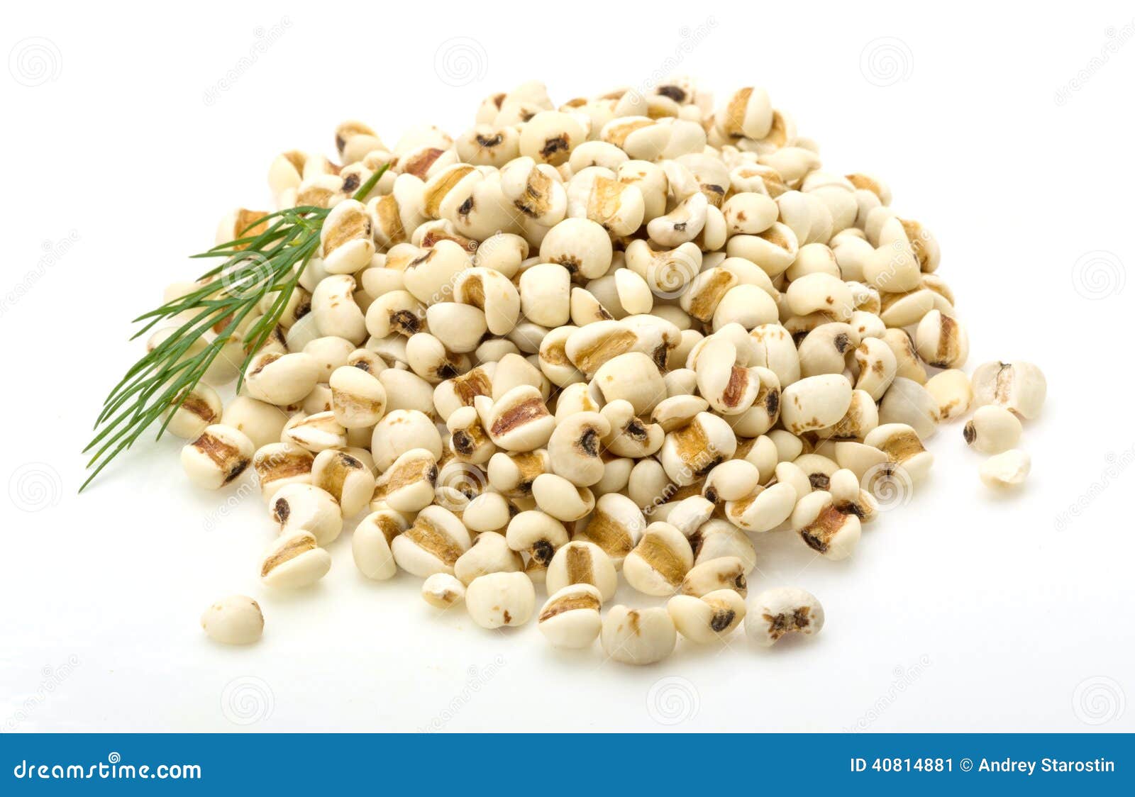 Dry soya beans stock image. Image of natural, close, diet - 40814881