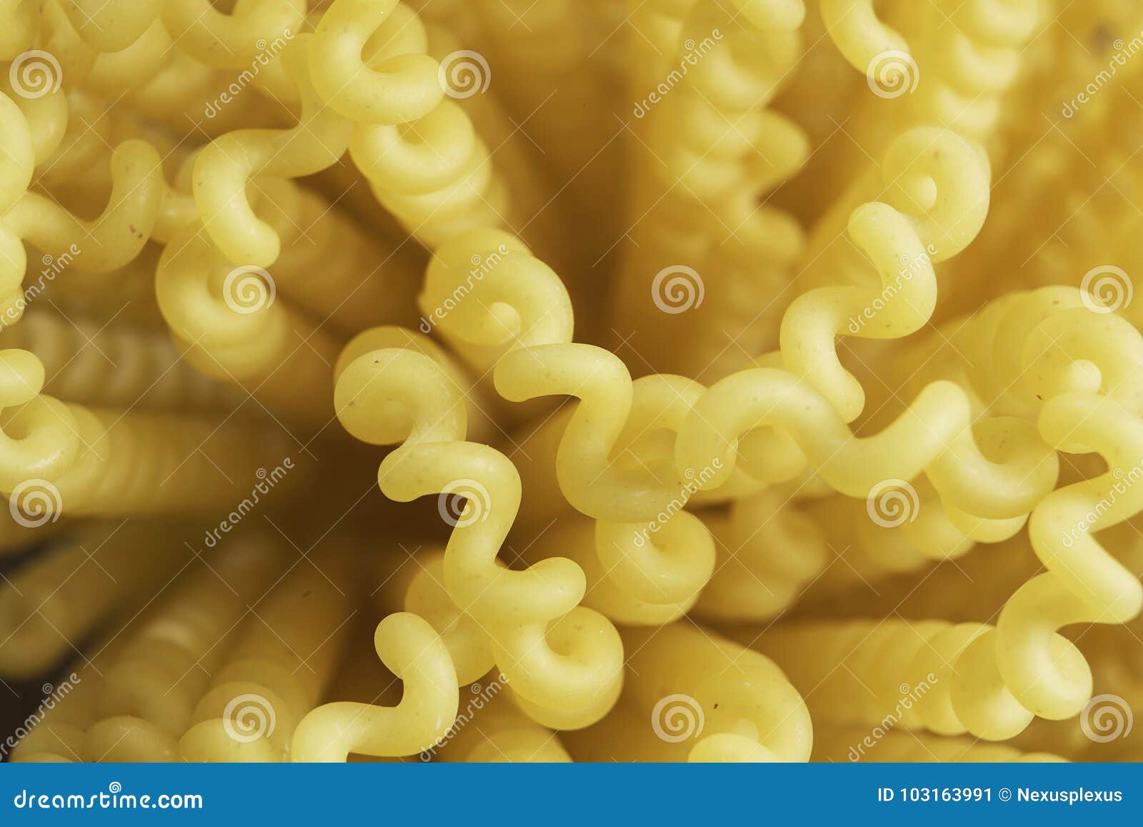 Close of yellow pasta stock image. Image of life, fresh - 103163991
