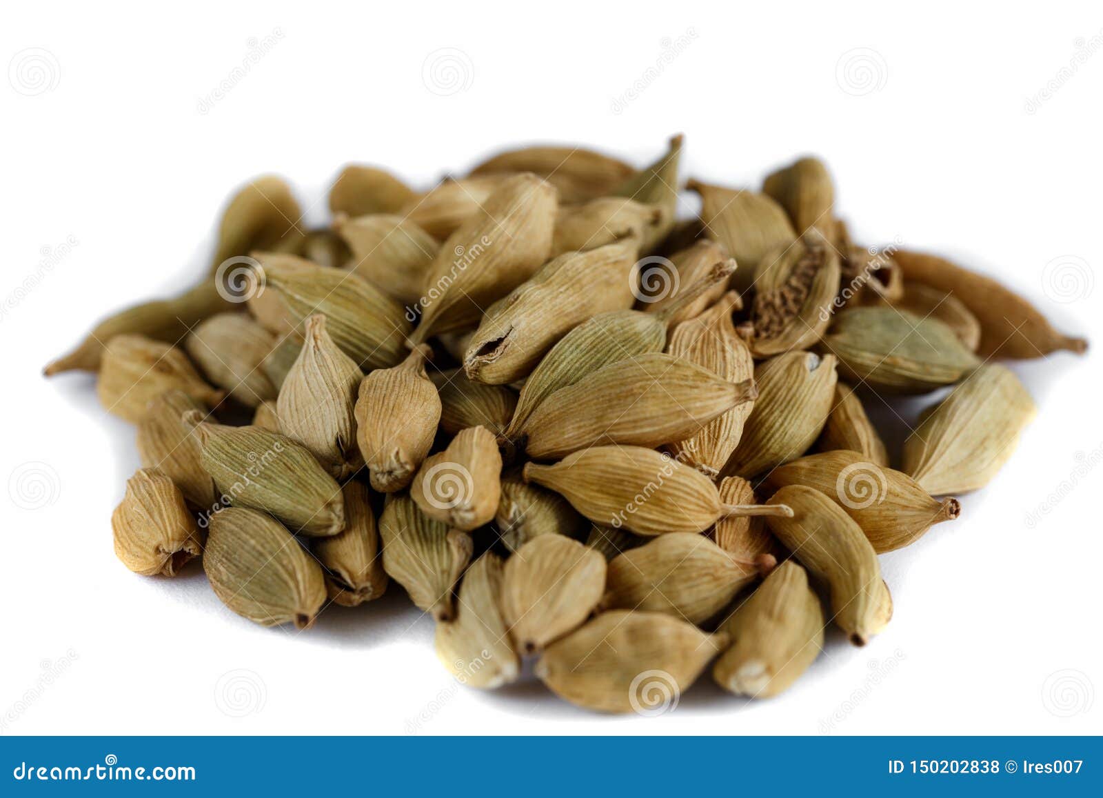 Dry spice cardamom stock photo. Image of chai, aroma - 150202838