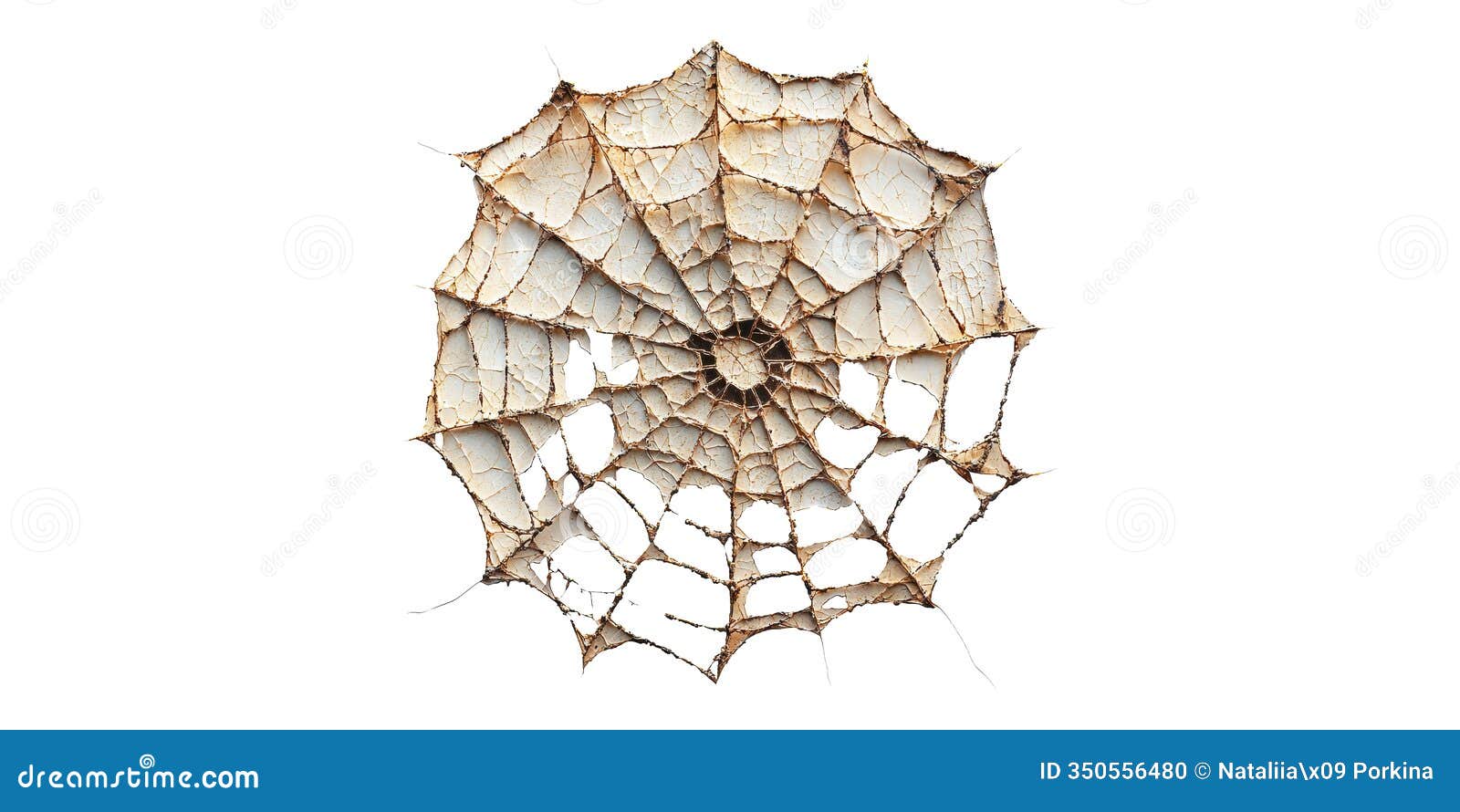 Dry Spider Web with Cracked Texture Isolated on Transparent Background ...