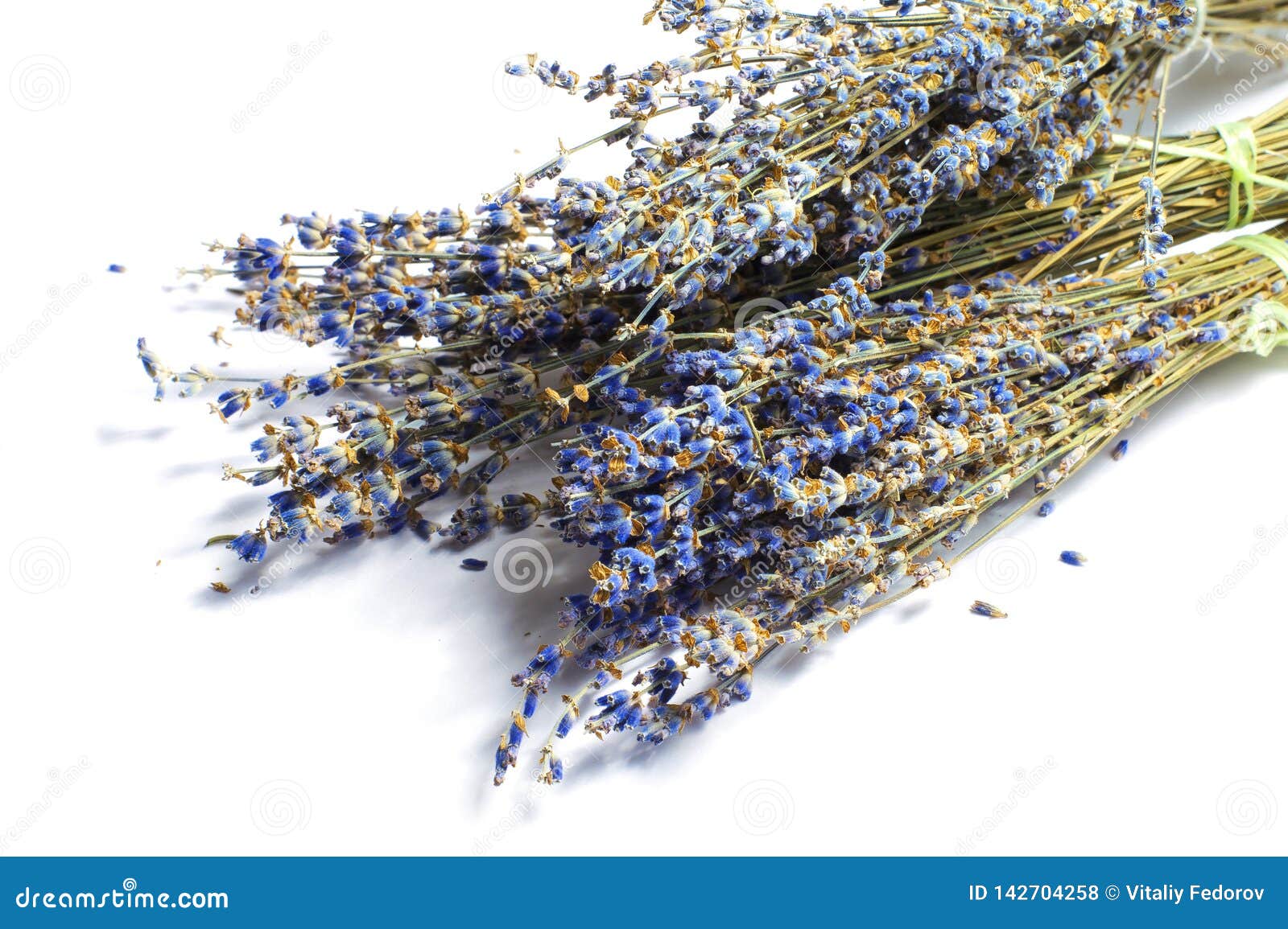 Dry Sprig of Lavender Isolated on White Stock Photo - Image of light ...