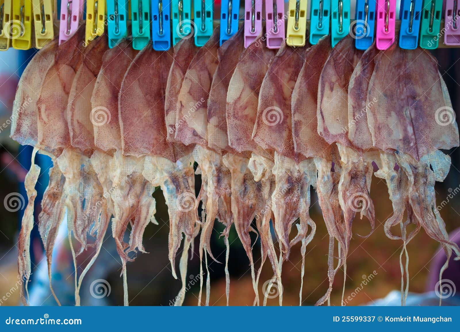 Dry squid stock image. Image of grill, asian, shell, gourmet - 25599337