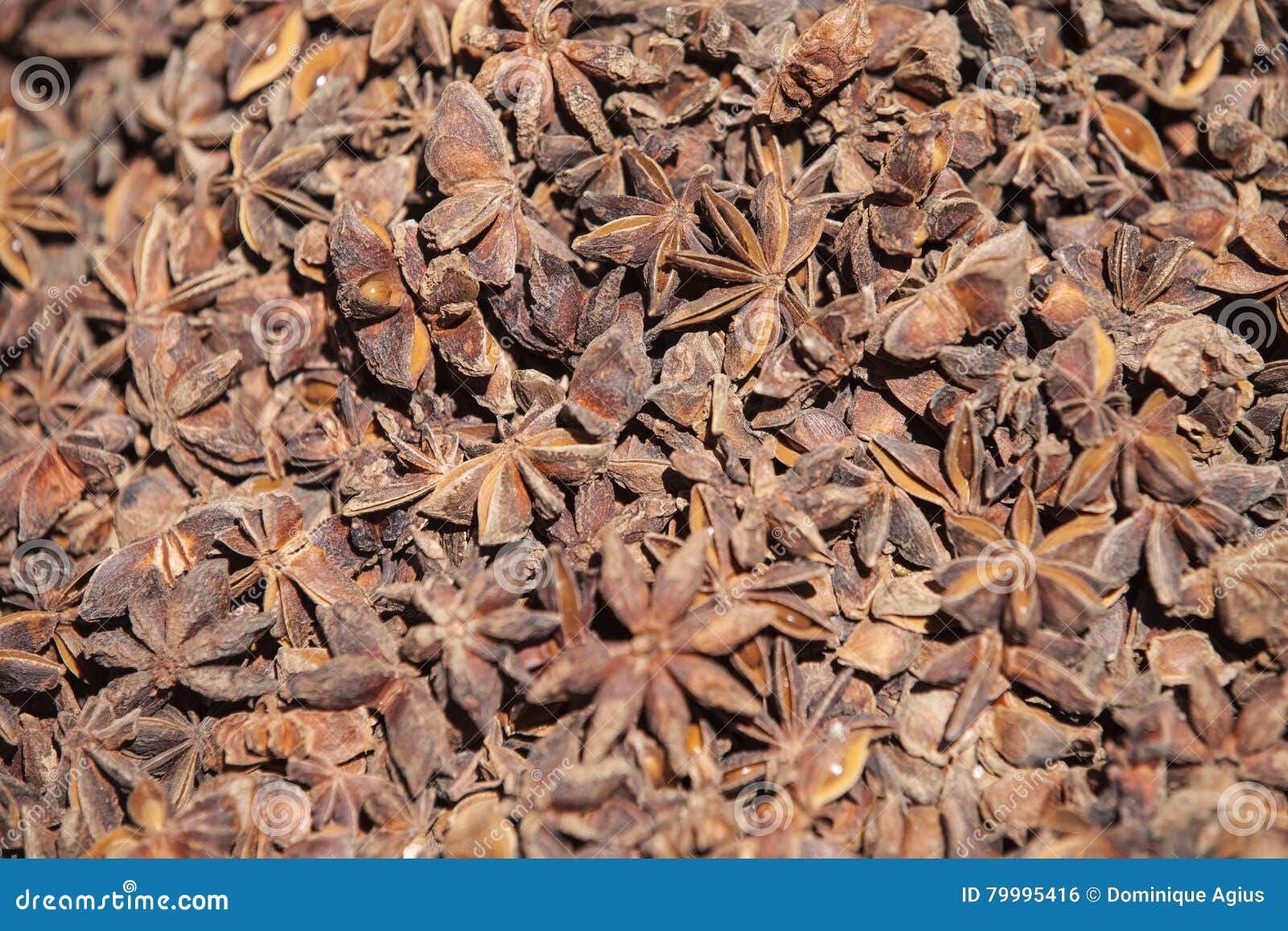 Dry star anise stock photo. Image of buds, backgroung - 79995416