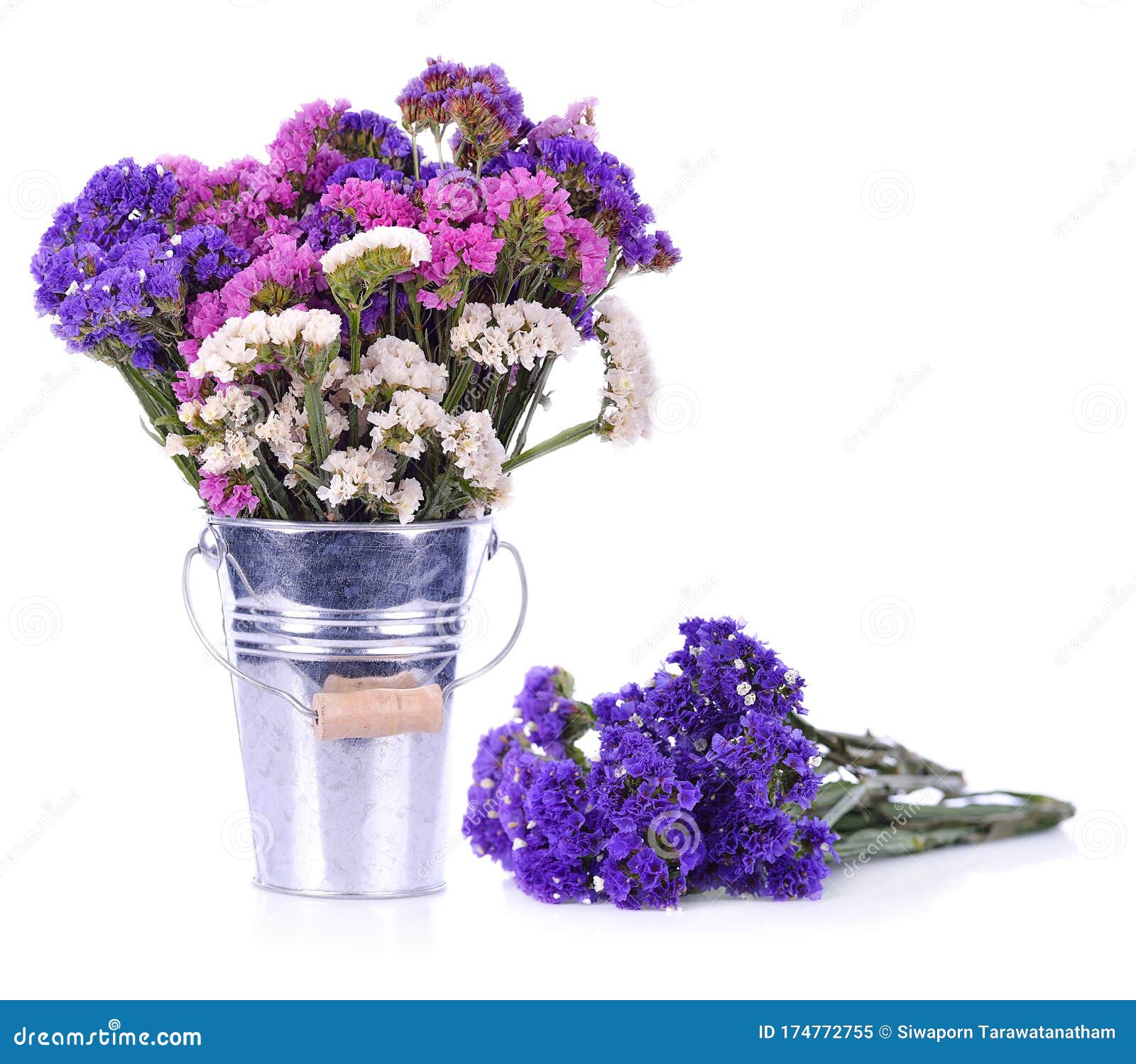 Dry Statice Flower on White Background Stock Image - Image of canister ...