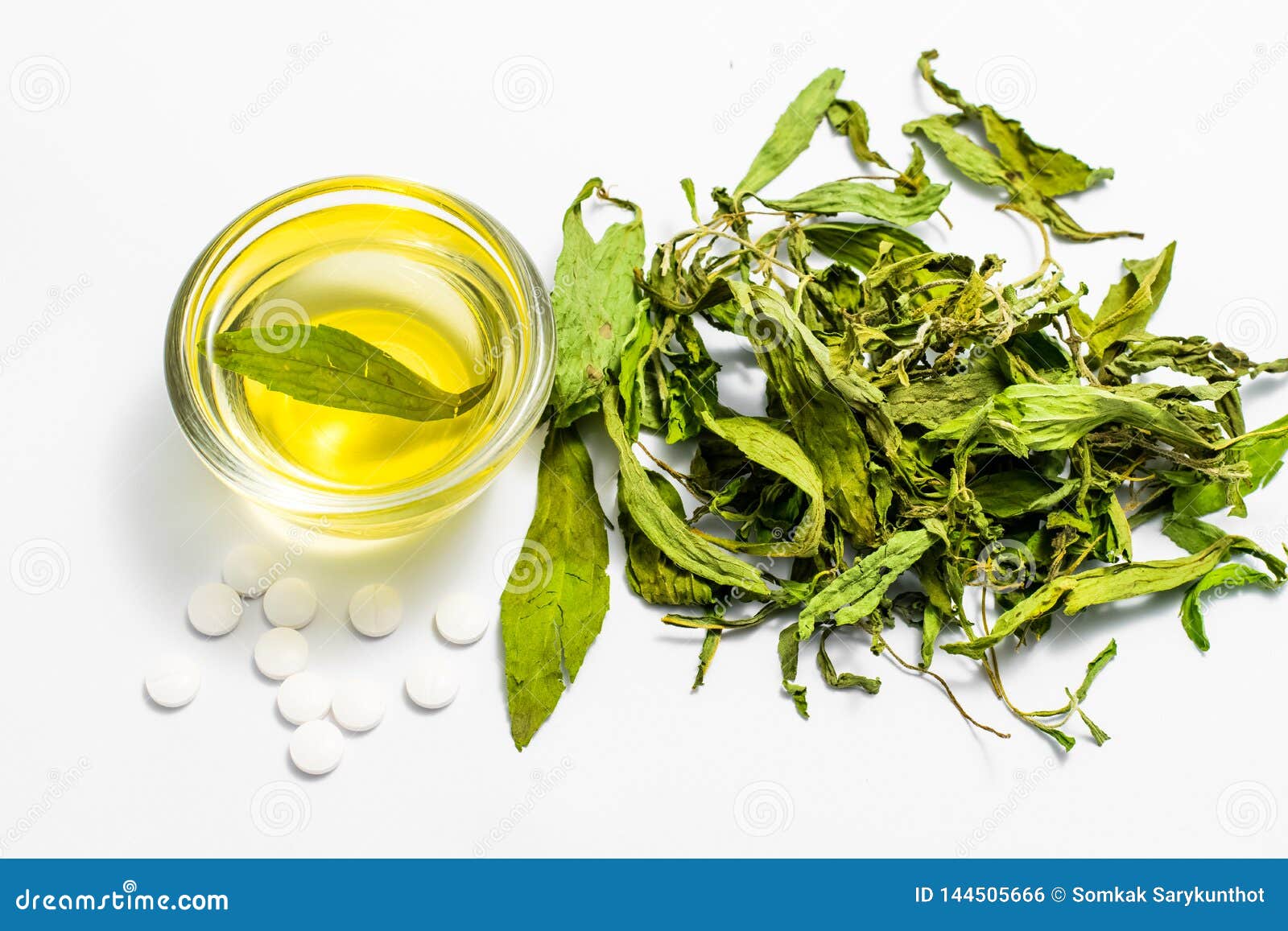 Dry stevia leaves stock photo. Image of object, isolated - 144505666