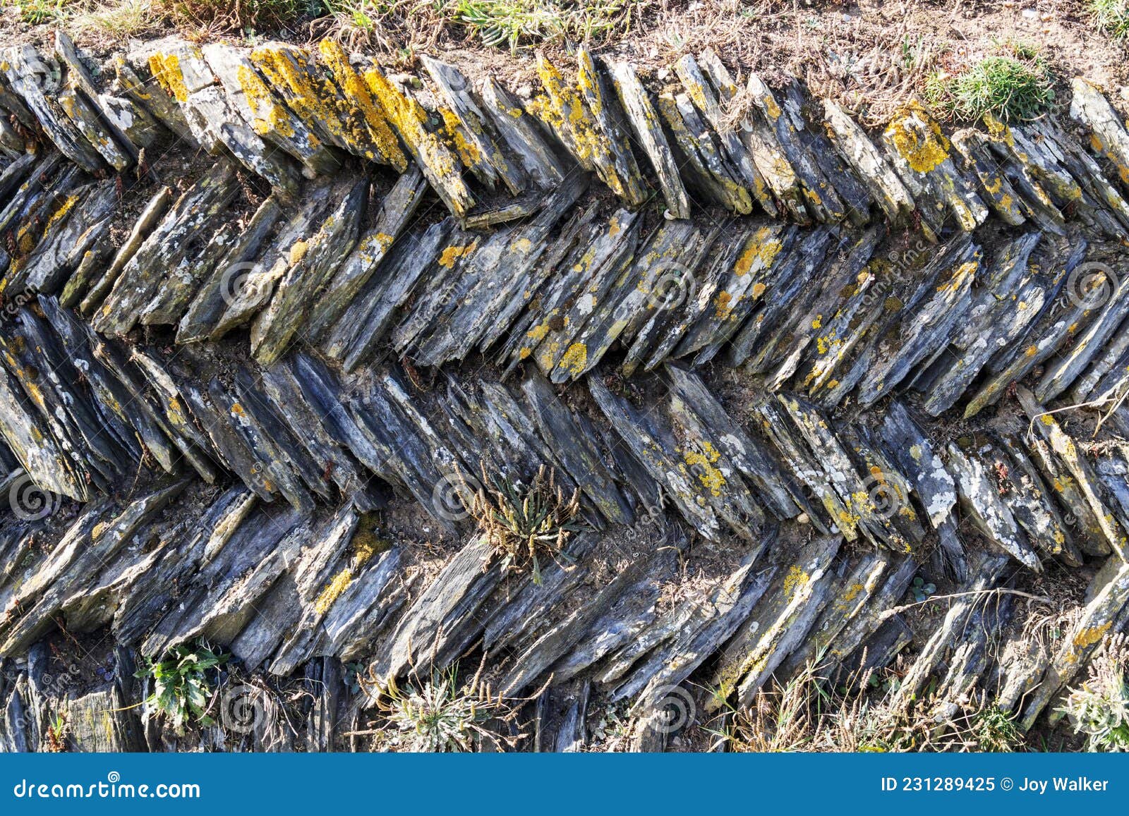 Dry Stone Wall in Cornwall, England, UK Stock Image - Image of built, hedgerow: 231289425