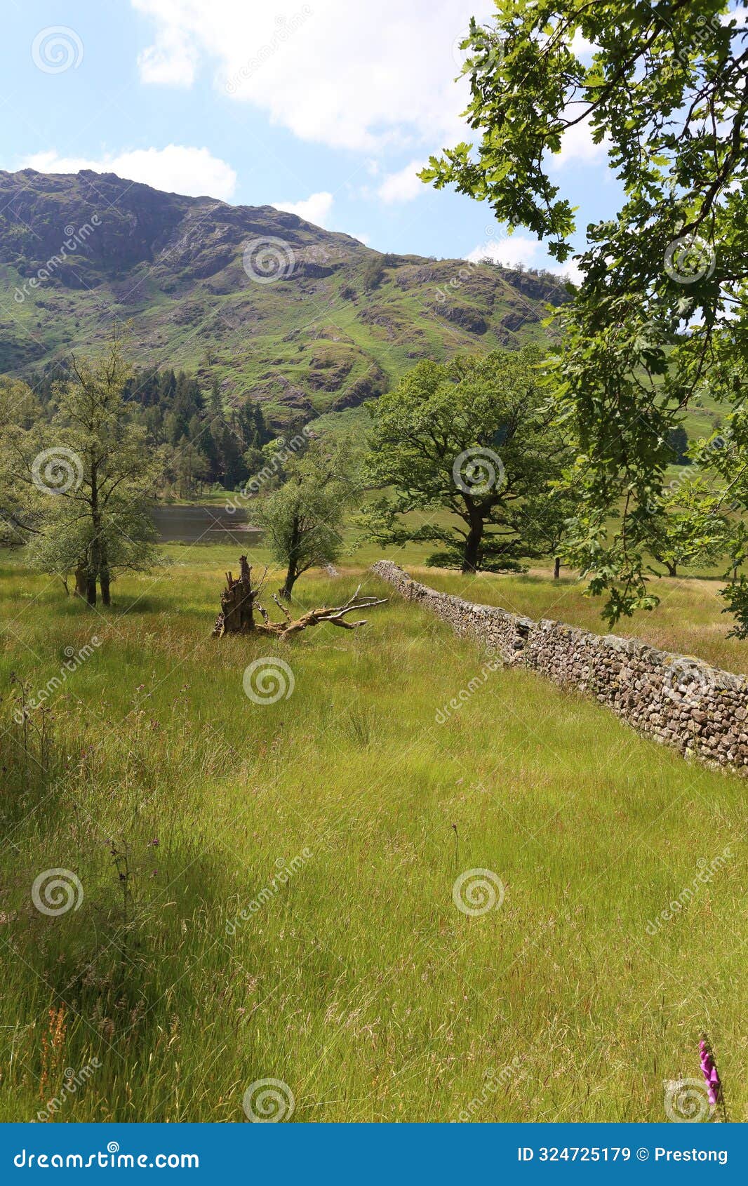 Dry Stone Wall Down To Blea Tarn Stock Image - Image of stone, scenic ...