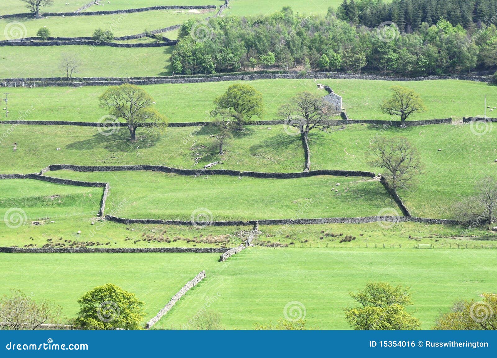 Dry stone walled fields stock photo. Image of agriculture - 15354016