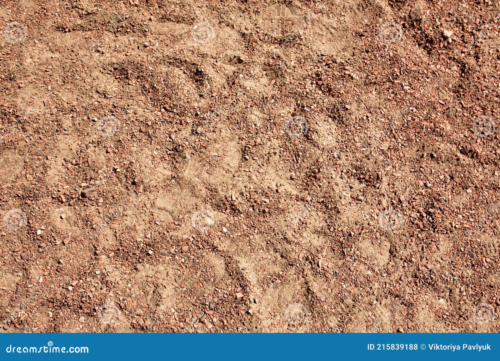 Dry stony ground closeup stock photo. Image of extreme - 215839188